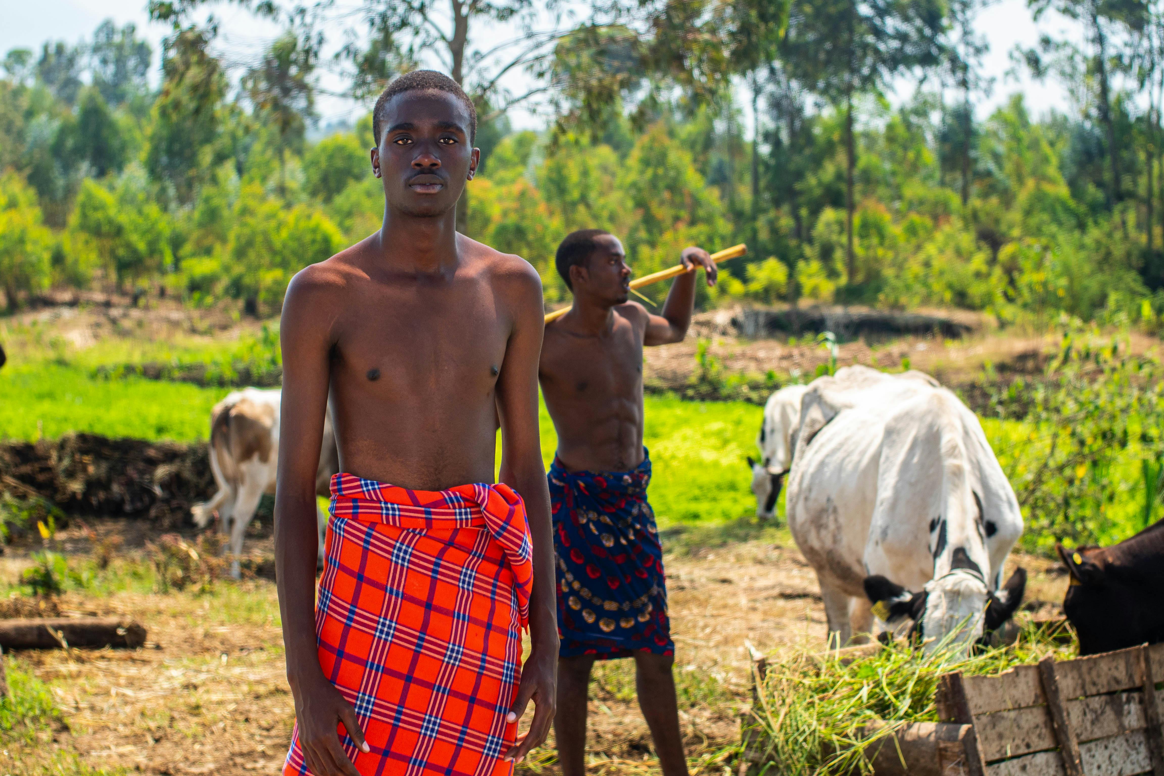 Two Young Men in Maasai Shuka Throws Standing in a Cow Pasture · Free ...