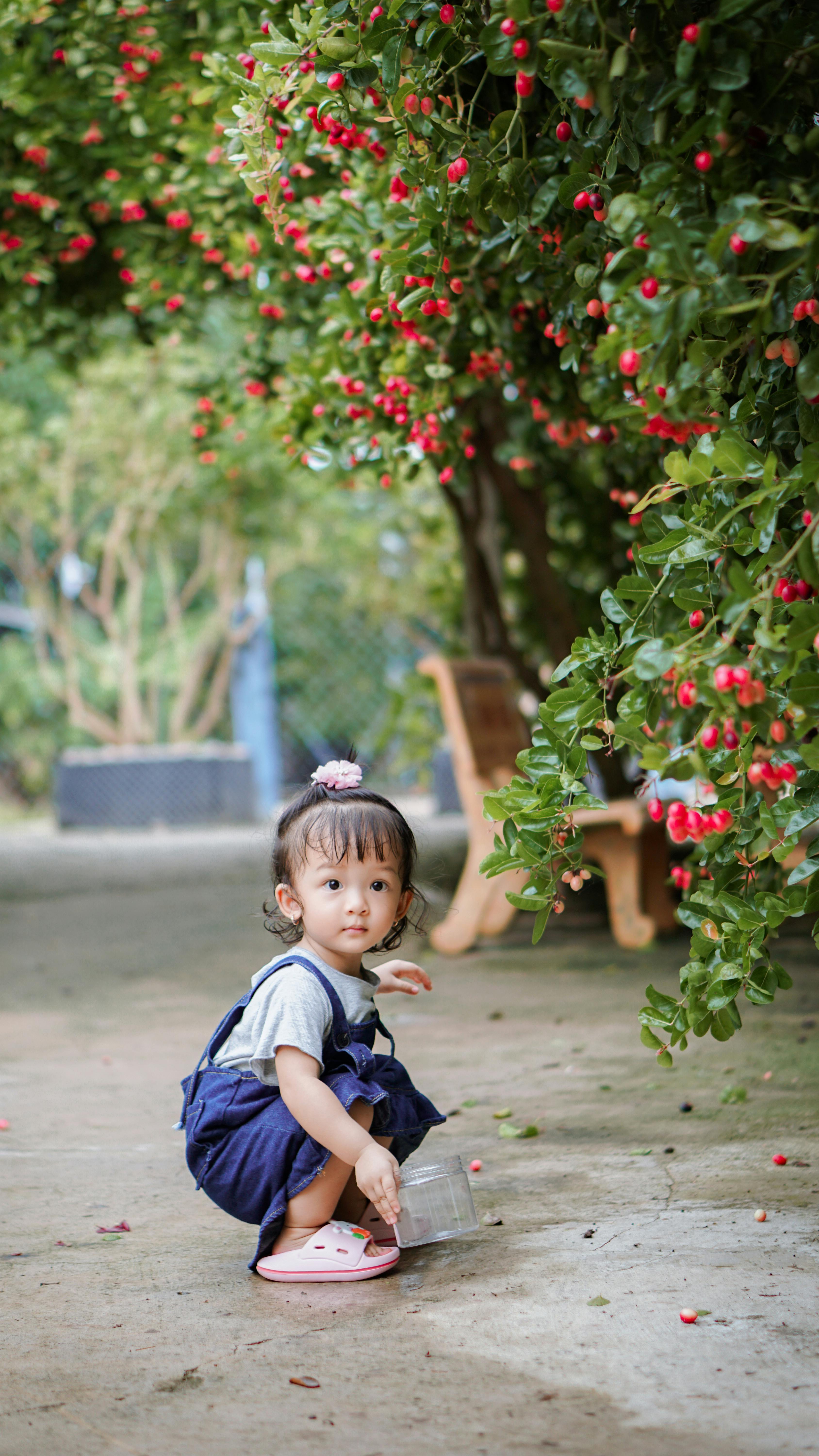 Toddler Reaching For Branch Photos, Download The BEST Free Toddler ...