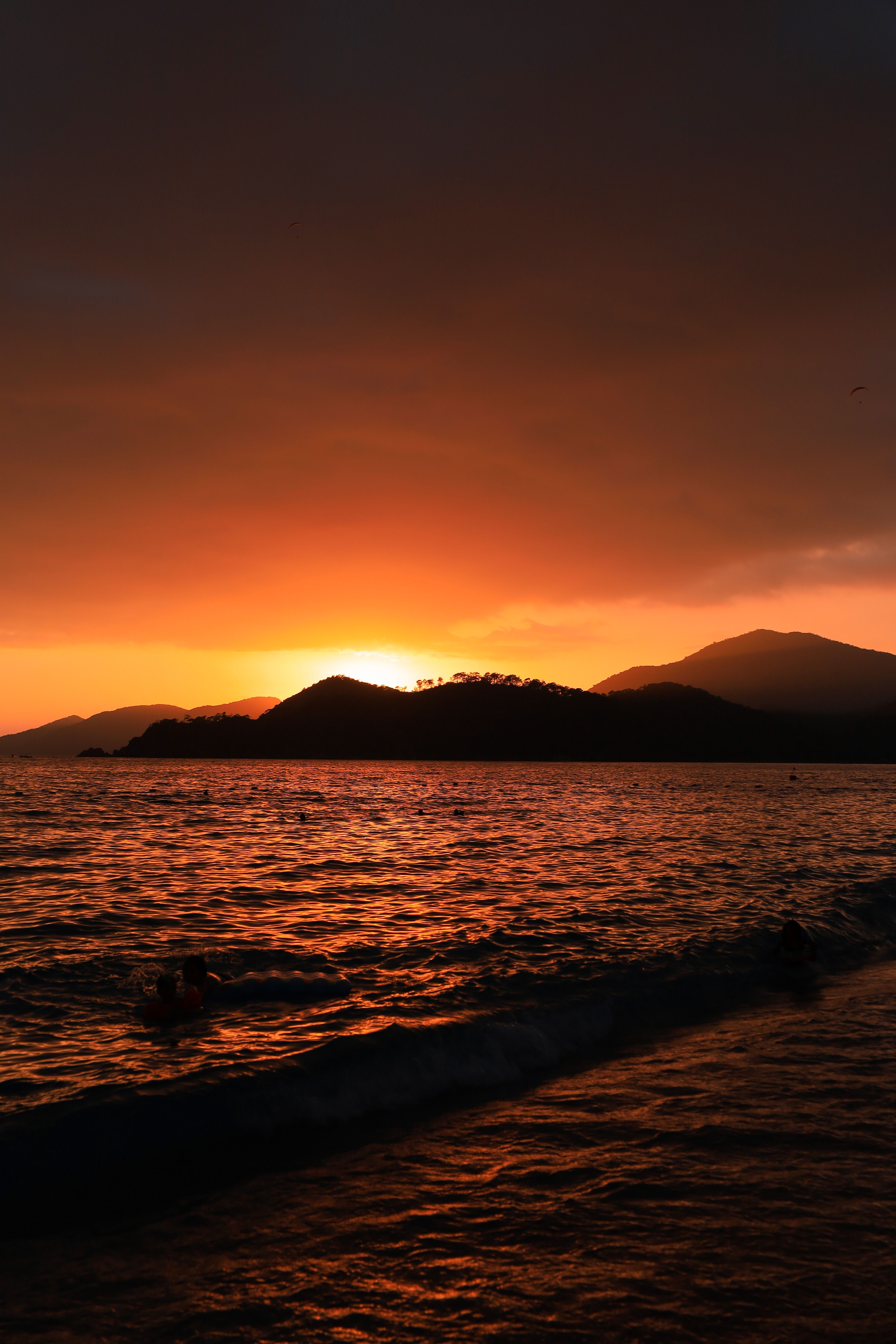 Redish Photos, Download The BEST Free Redish Stock Photos & HD Images