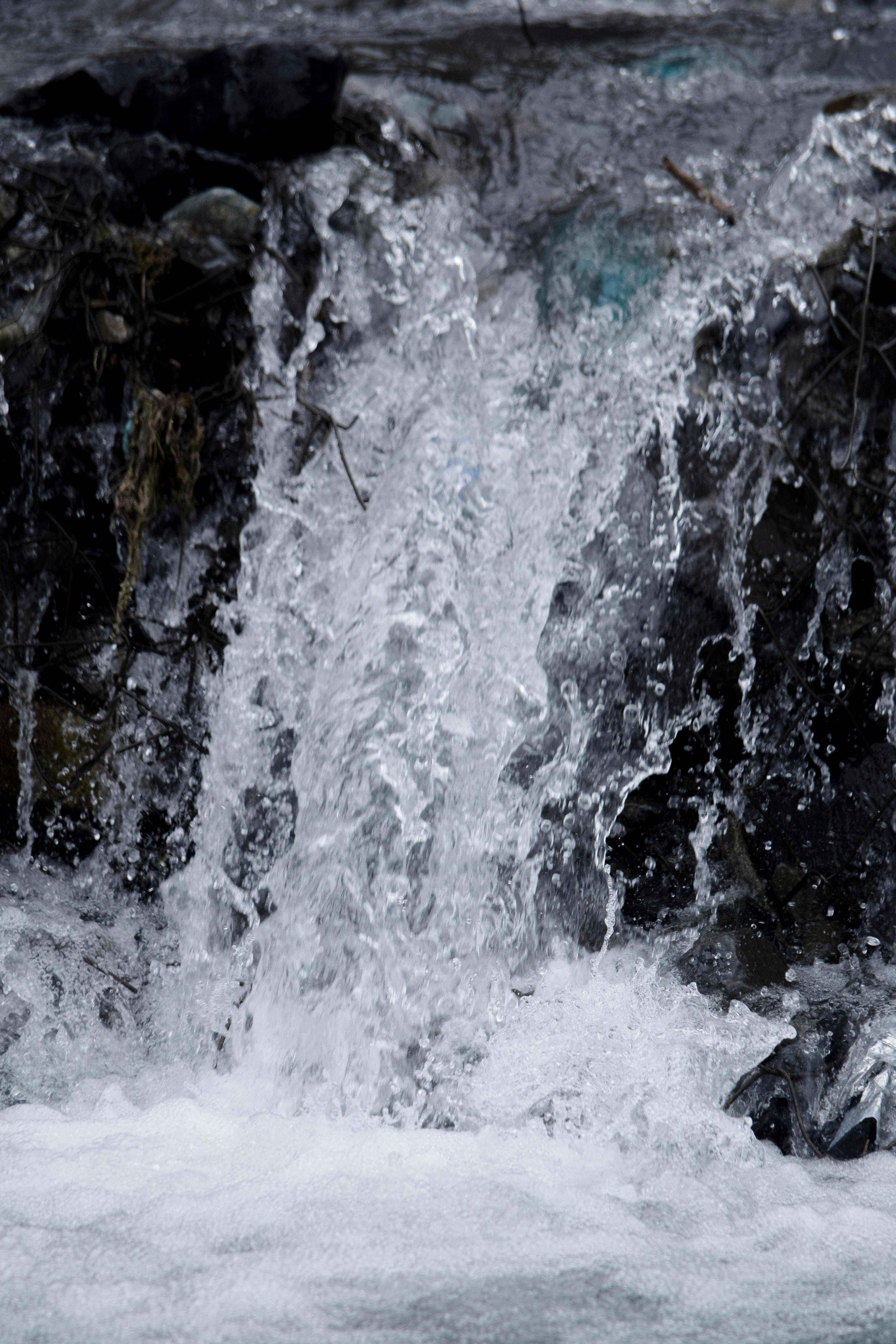 Pexel Captures - Photography