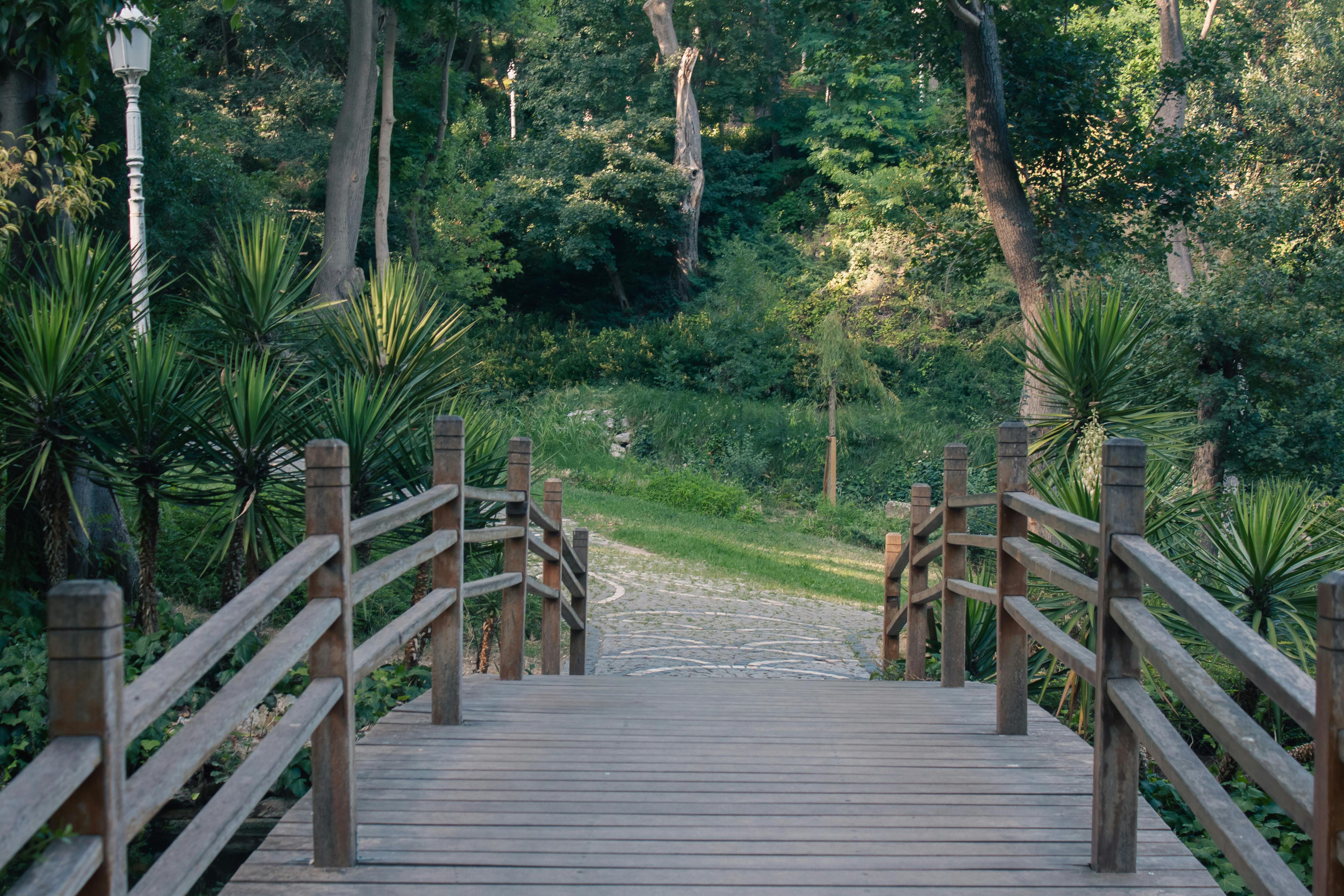 Wooden Pedestrian Bridge in a Park · Free Stock Photo