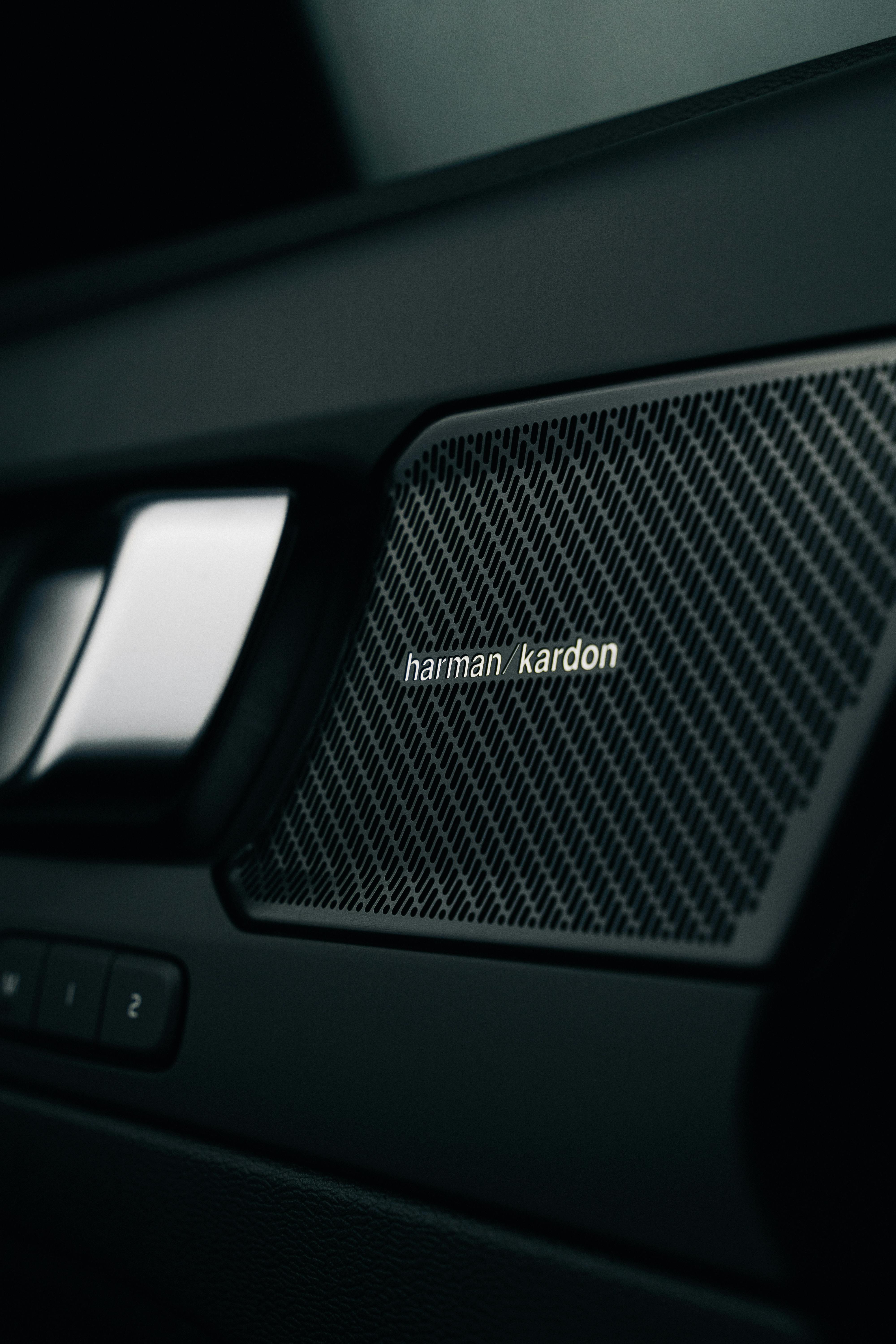 Black Harman Kardon Speaker in a Volvo Car Door · Free Stock Photo