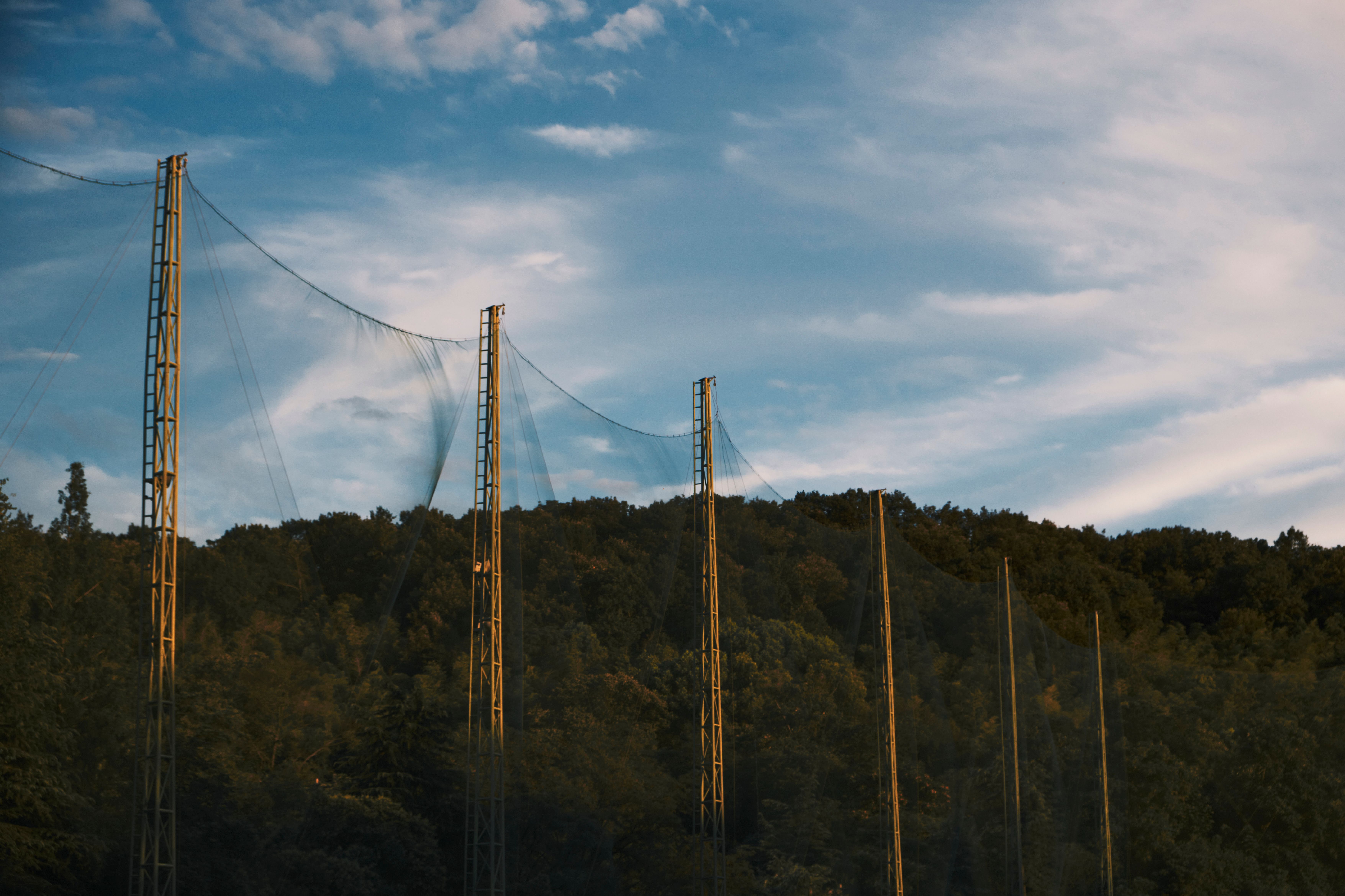 Net and Green Forest behind · Free Stock Photo