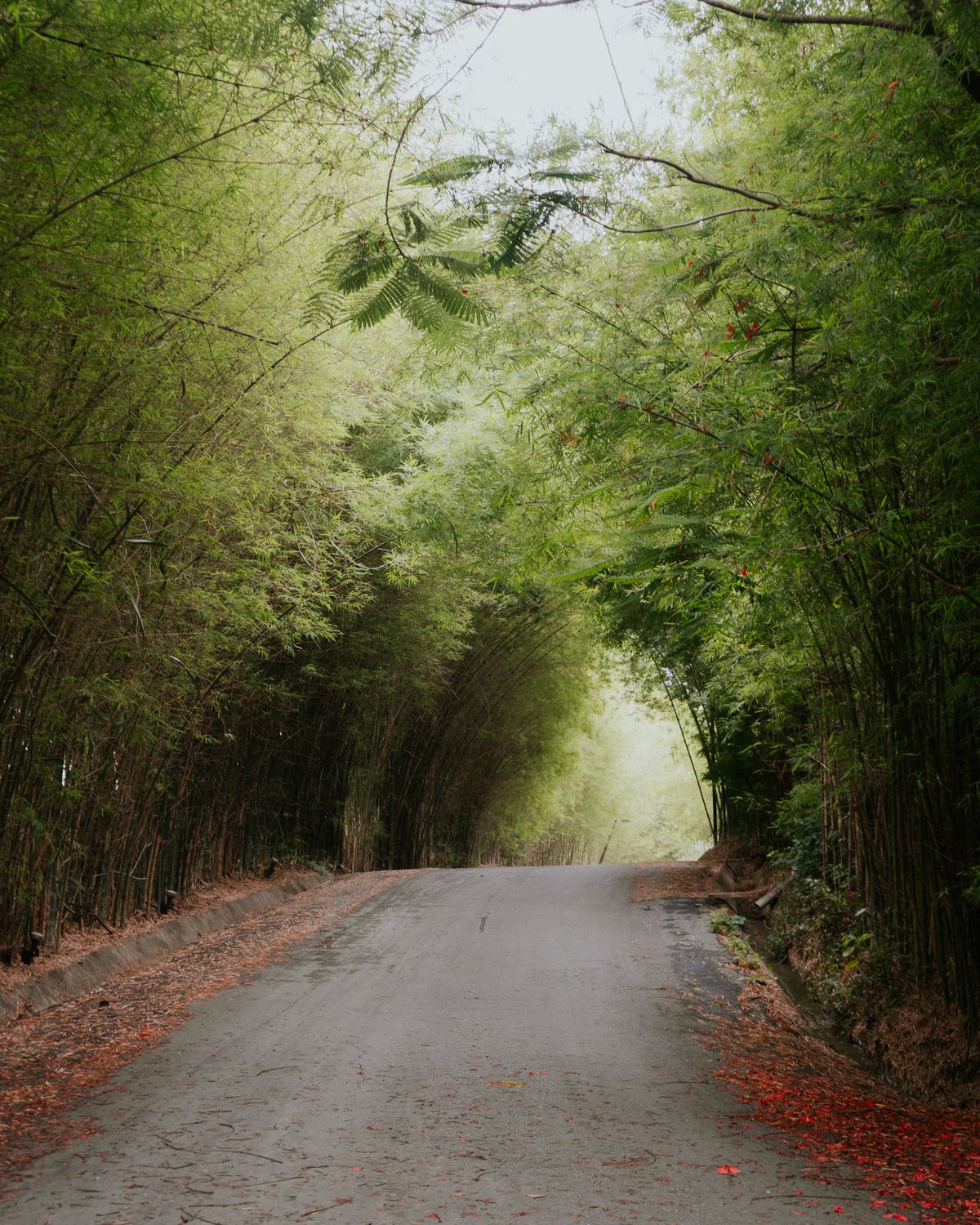 Deep Images Photos, Download The BEST Free Deep Images Stock Photos ...