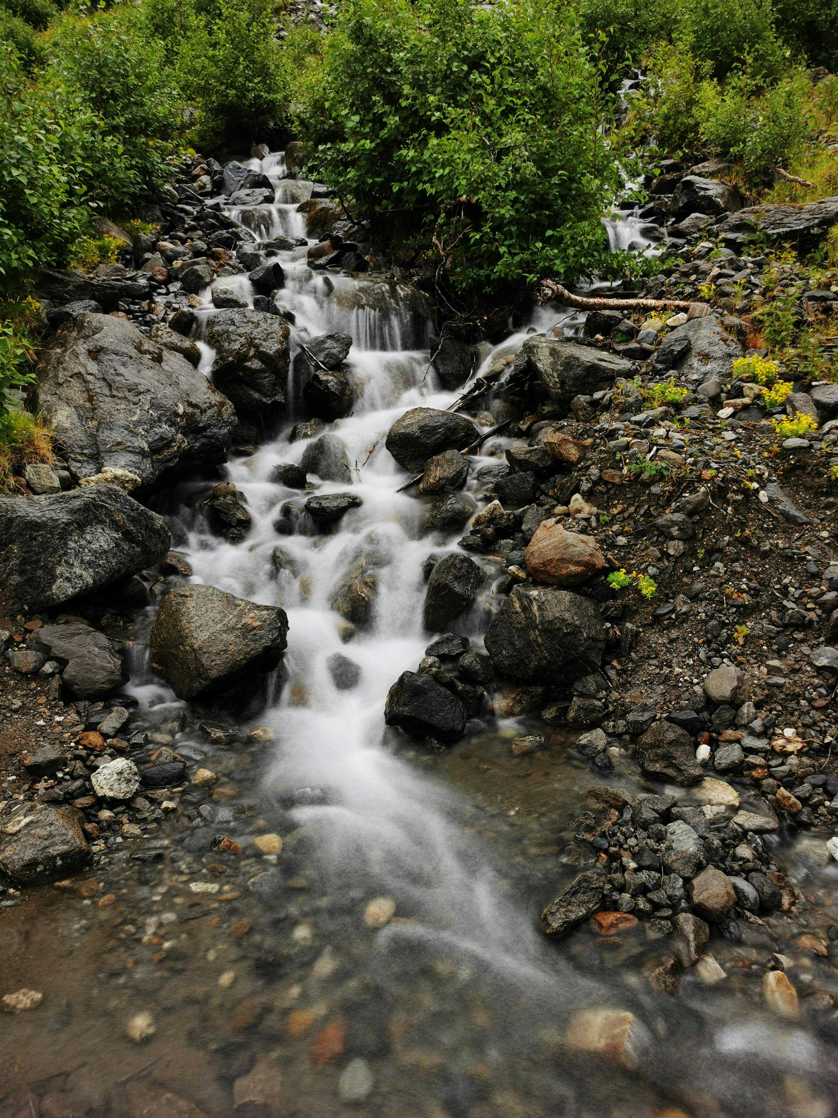 A Rocky Stream in Mountains · Free Stock Photo