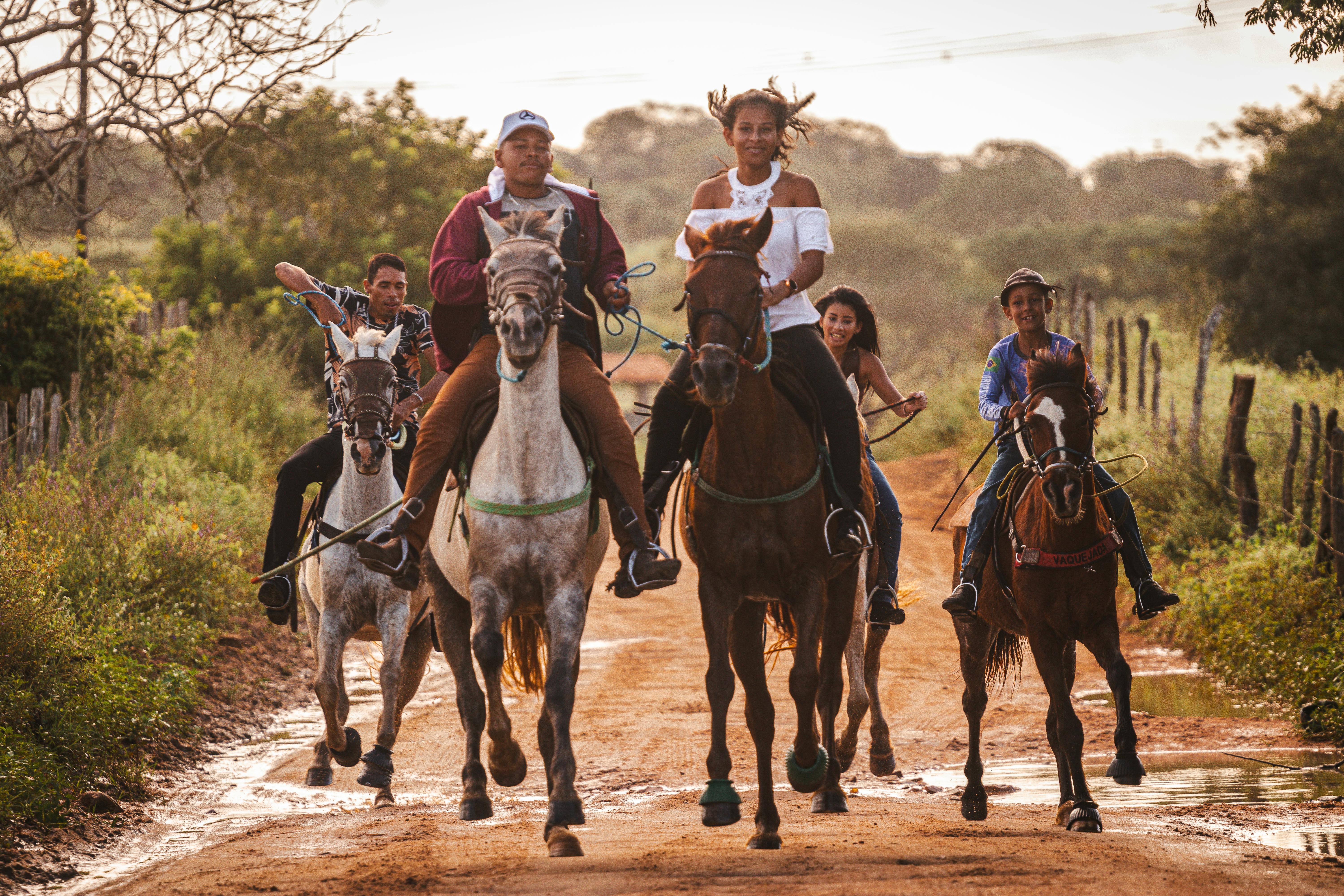 People Riding Horses · Free Stock Photo