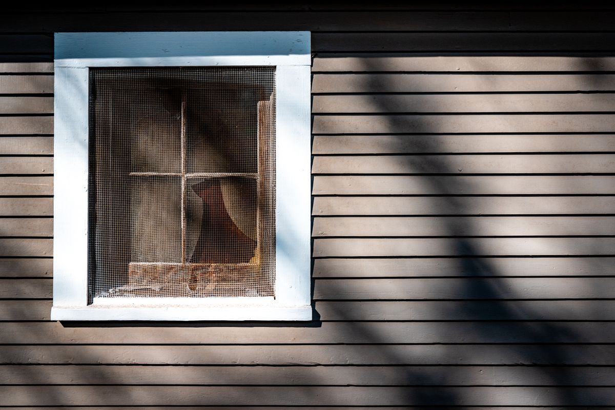 Window Screen Photos, Download The BEST Free Window Screen Stock Photos ...