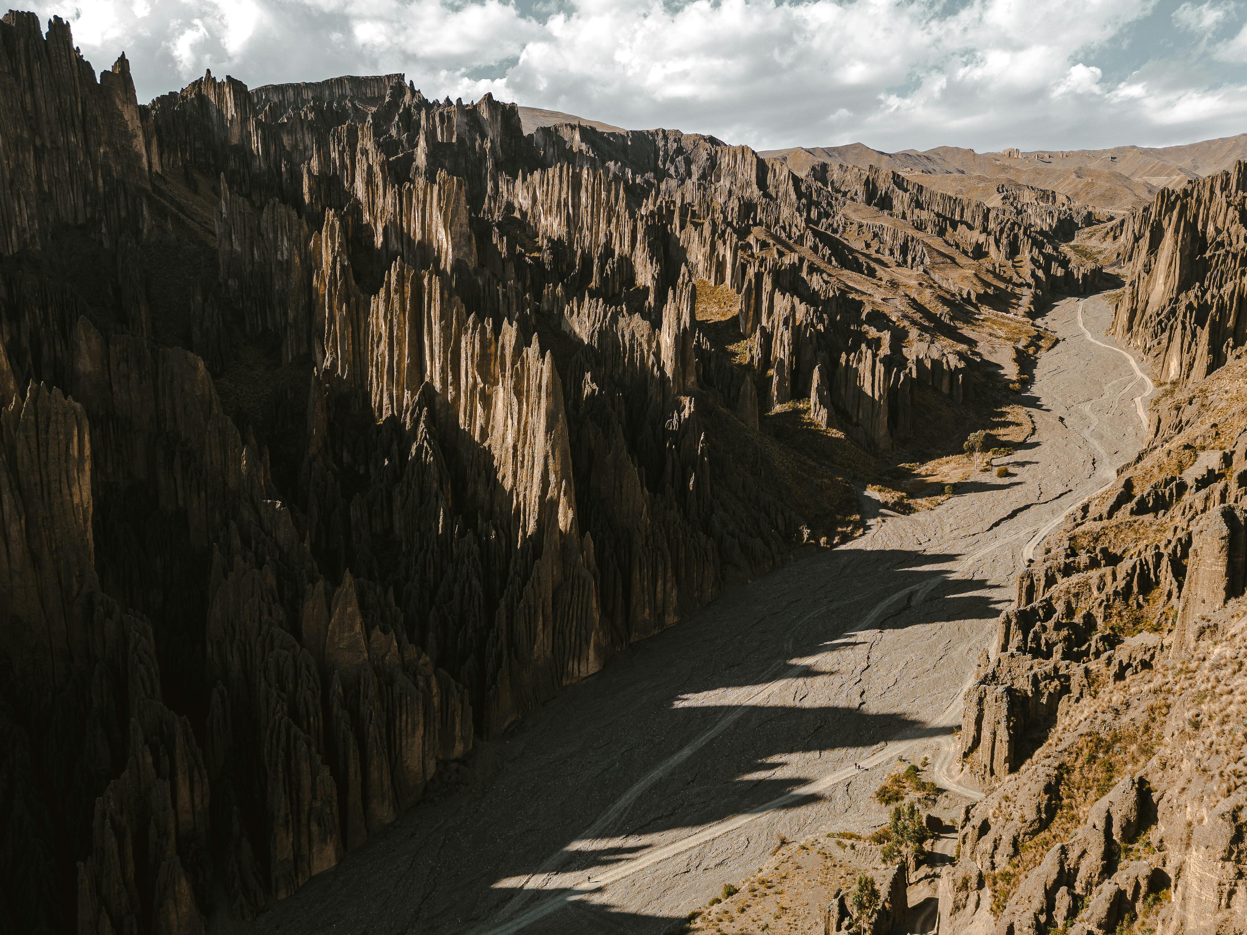 Anima Photos, Download The BEST Free Anima Stock Photos & HD Images