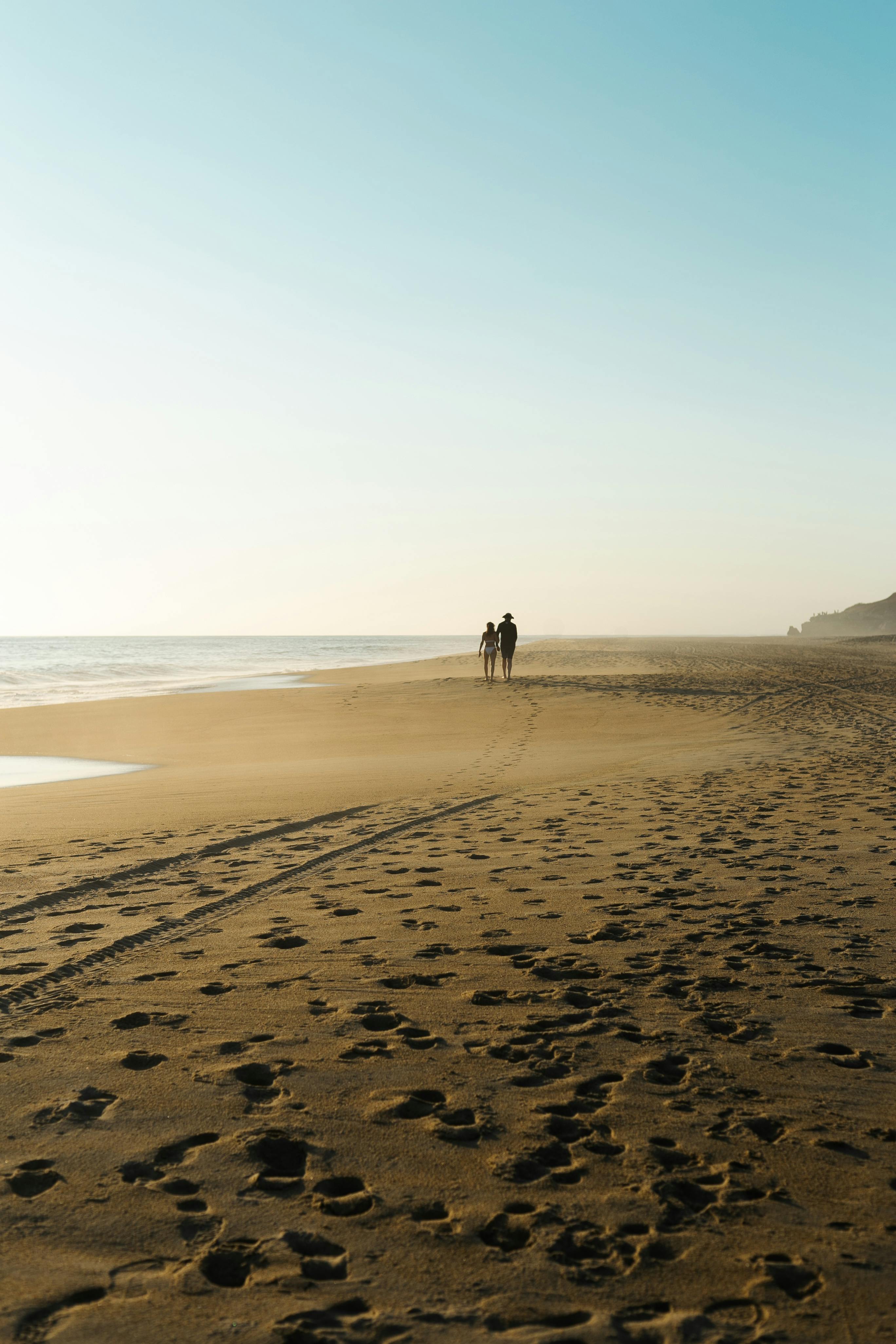 People Walking on Beach at Sunset · Free Stock Photo