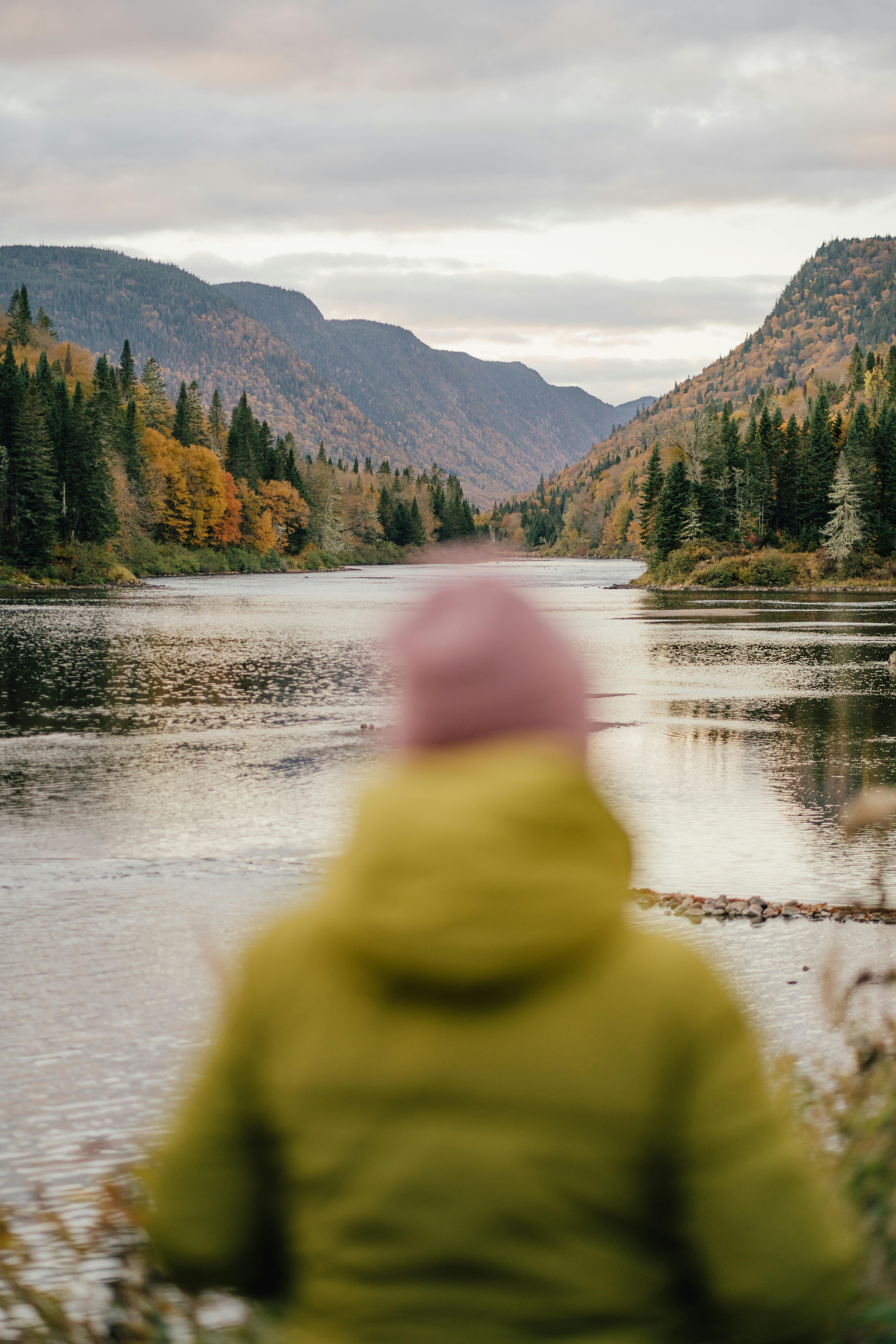 Selective Focus Photos, Download The BEST Free Selective Focus Stock ...