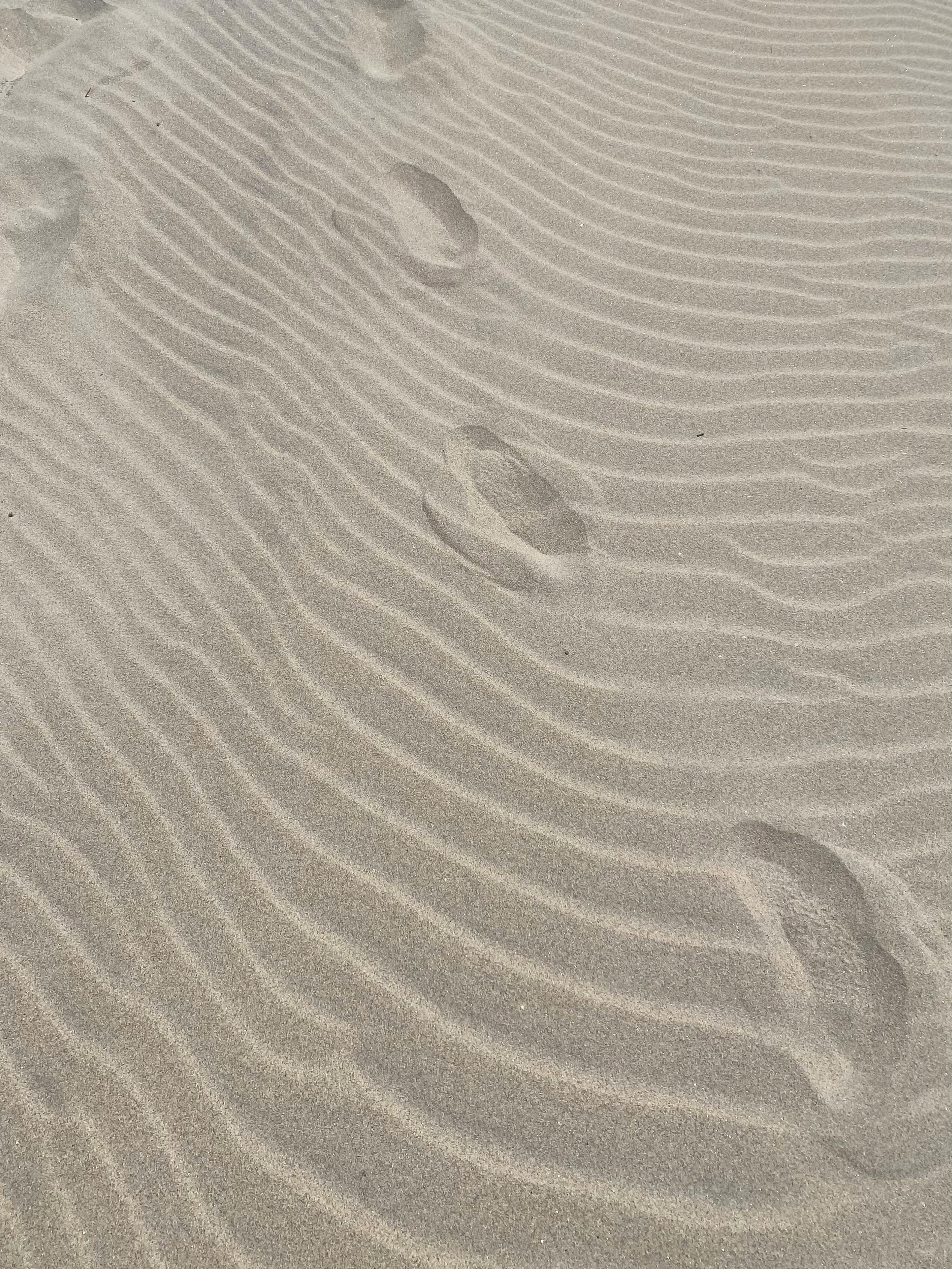 Single Foot Print on the Sand · Free Stock Photo
