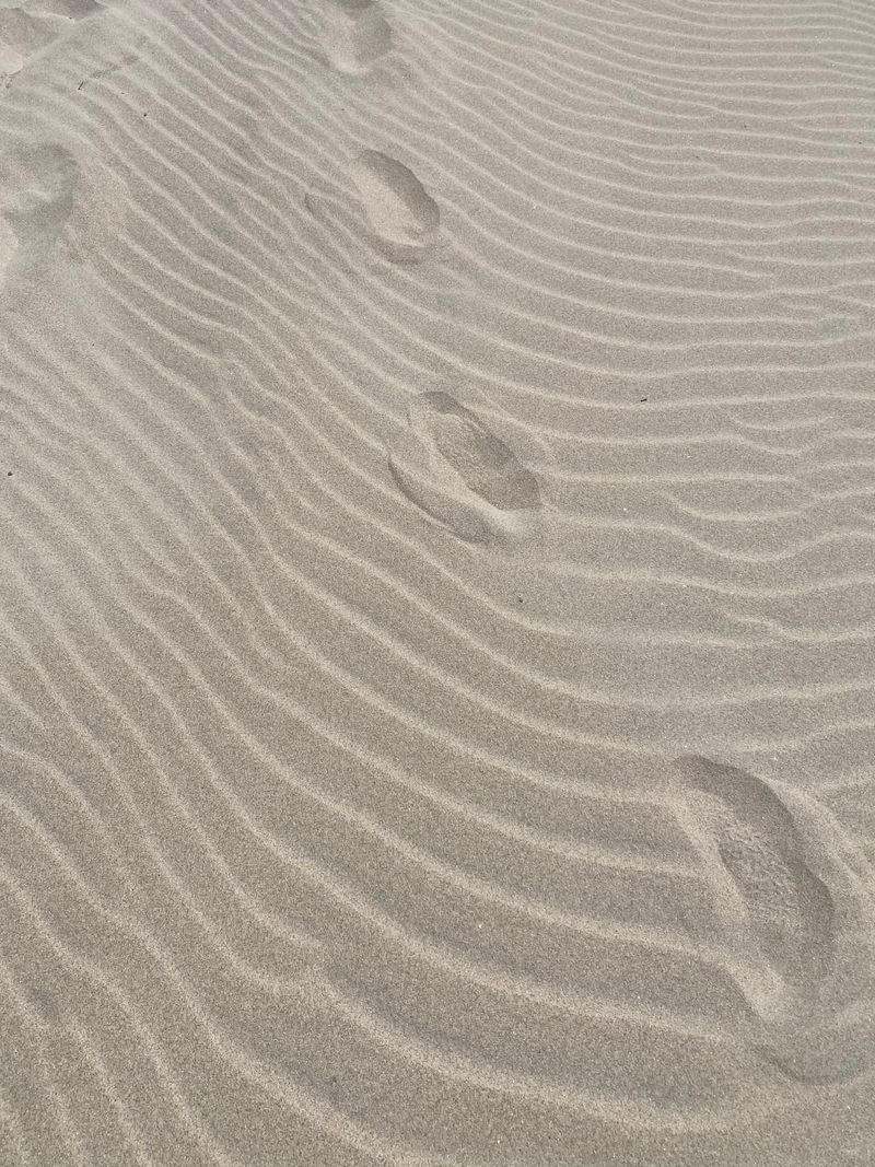 Bloody Footprints Photos, Download The BEST Free Bloody Footprints ...