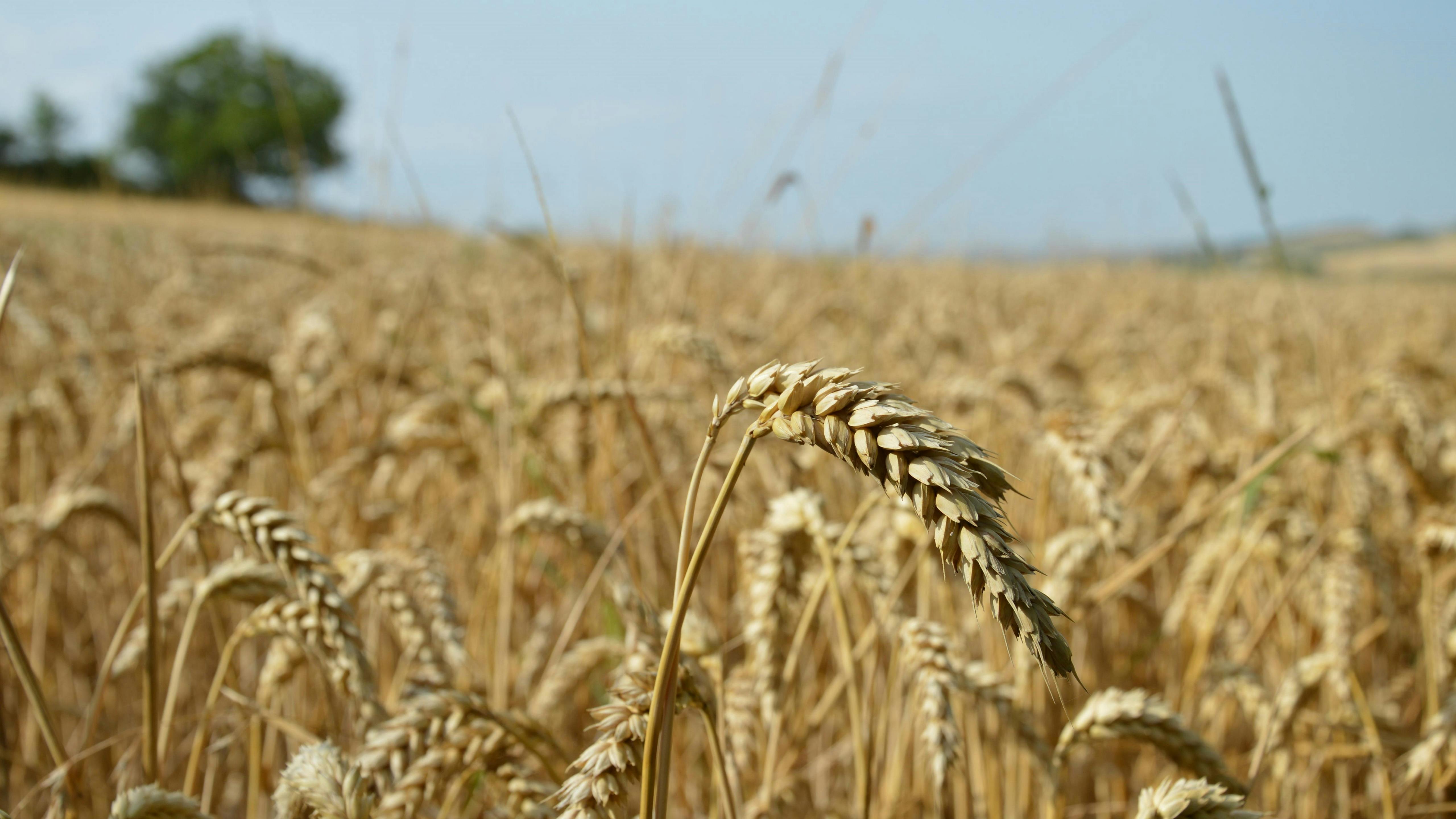 Charroux (03) 16 Photos & Videos Collected by SlimMars 13