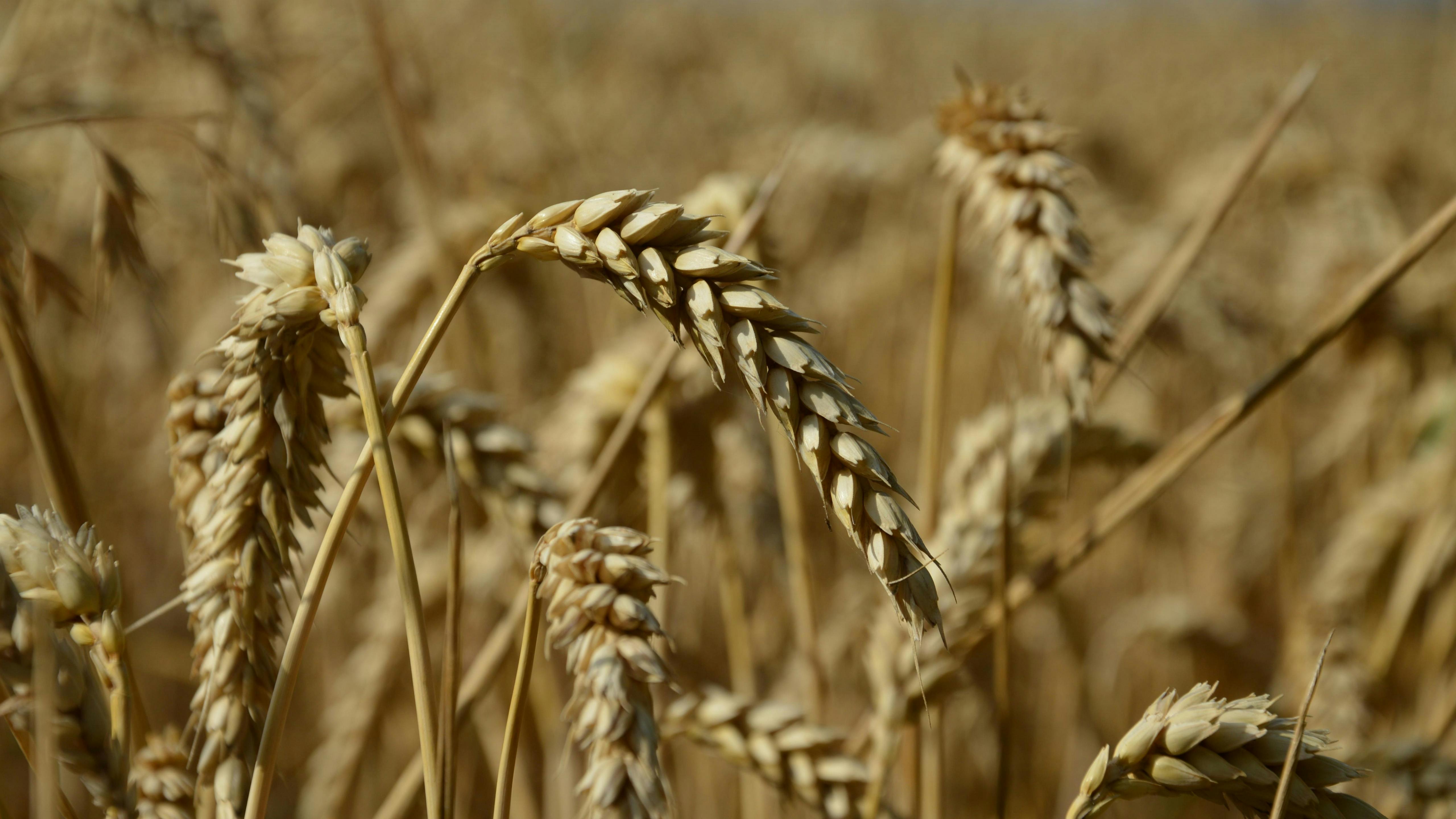 Charroux (03) 16 Photos & Videos Collected by SlimMars 13