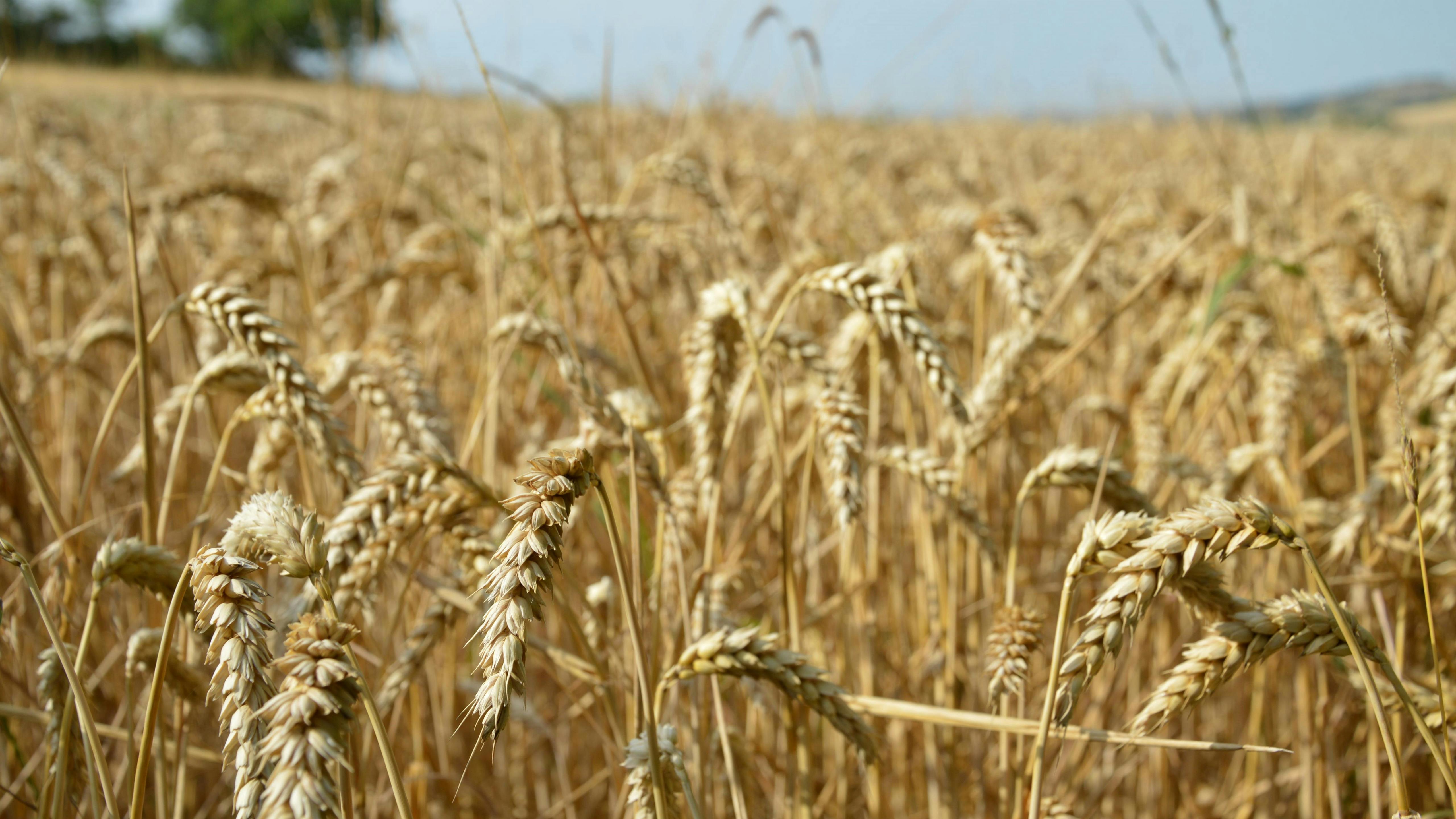 Charroux (03) 16 Photos & Videos Collected by SlimMars 13