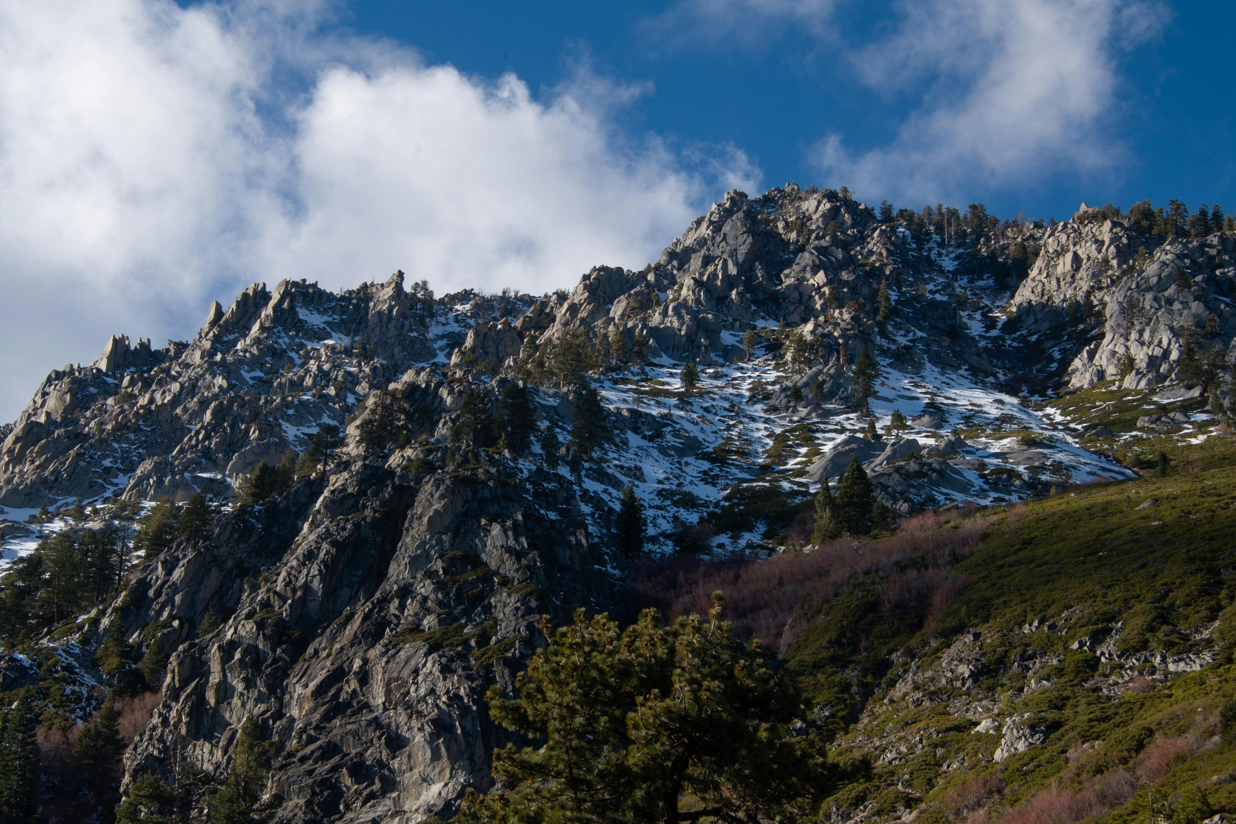 Spiky Peaks of Rocky Mountains with Meadow and Forest below · Free ...