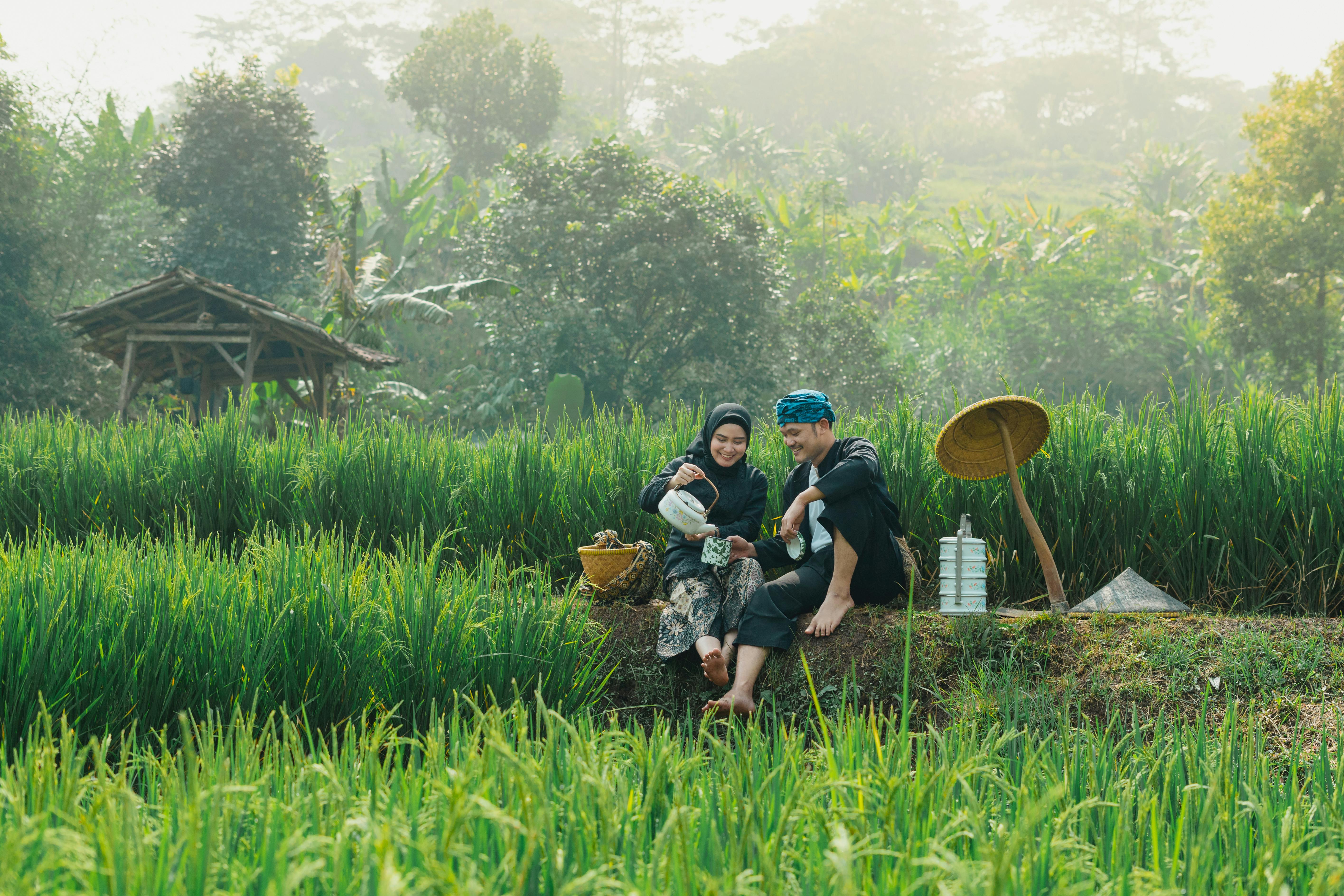 Two people sitting in a rice field · Free Stock Photo