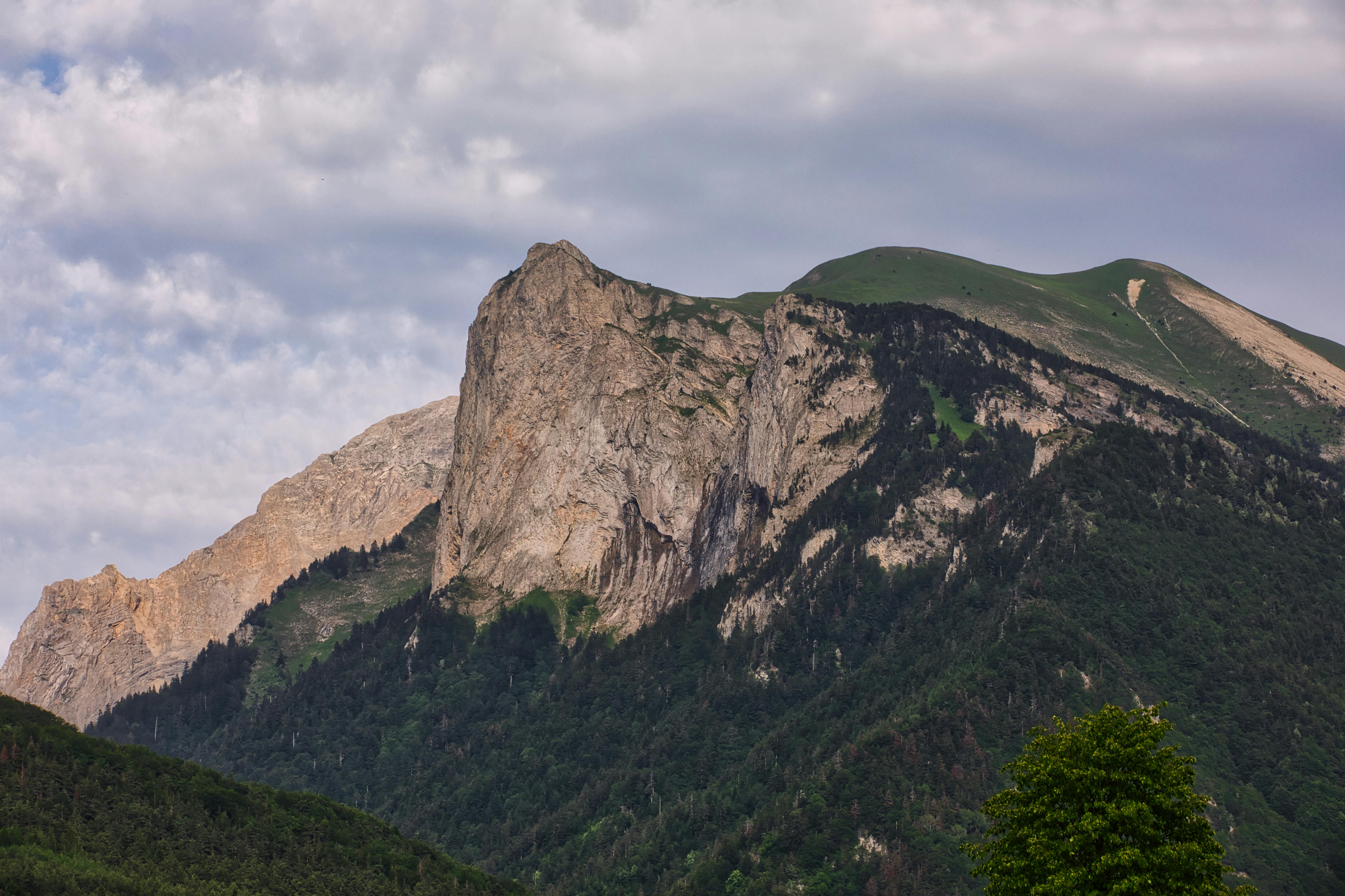 Émergence majestueuse : Le sommet rocheux veillant sur la forêt d ...