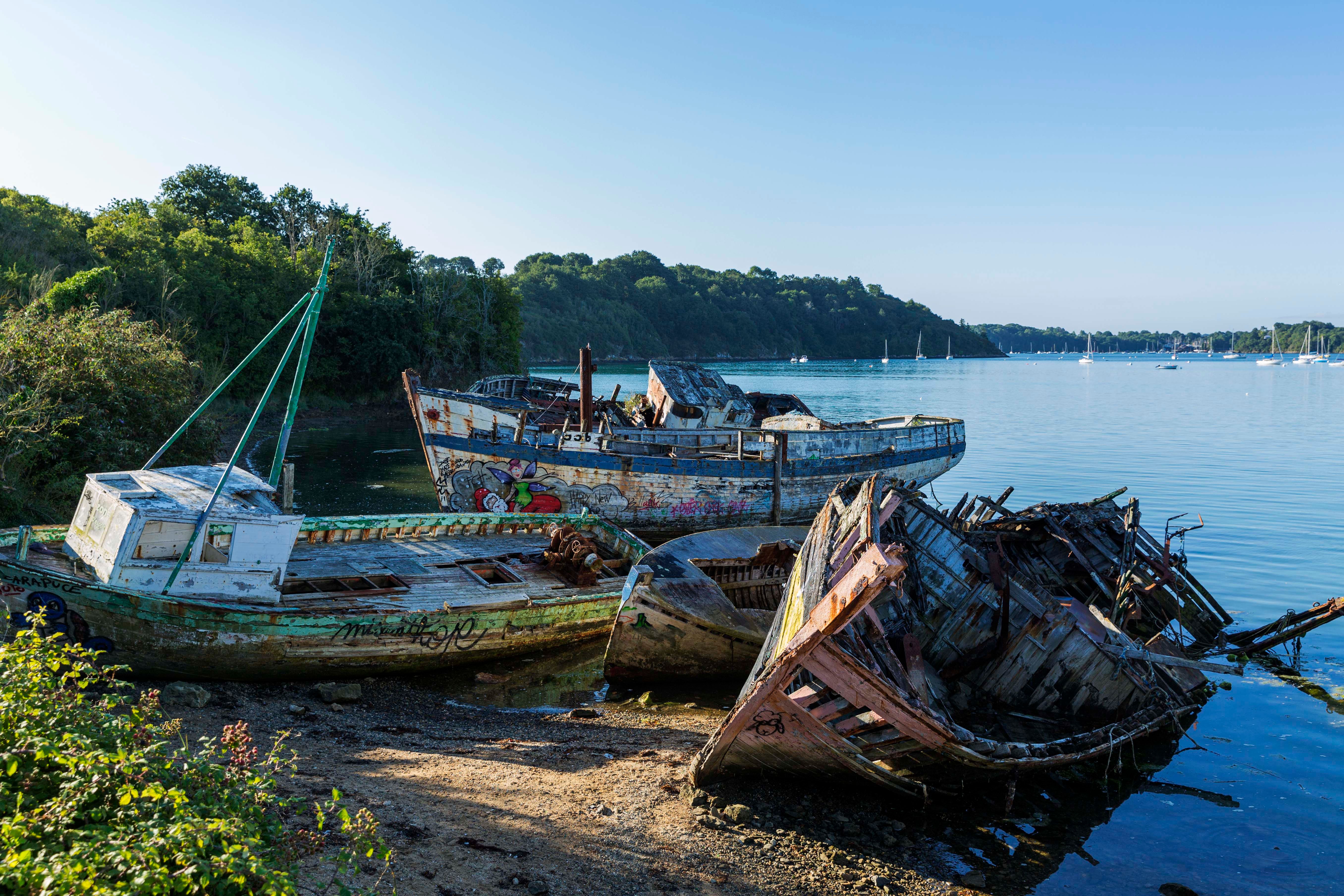 Wrecked Boats Deteriorating on a Lakeshore · Free Stock Photo