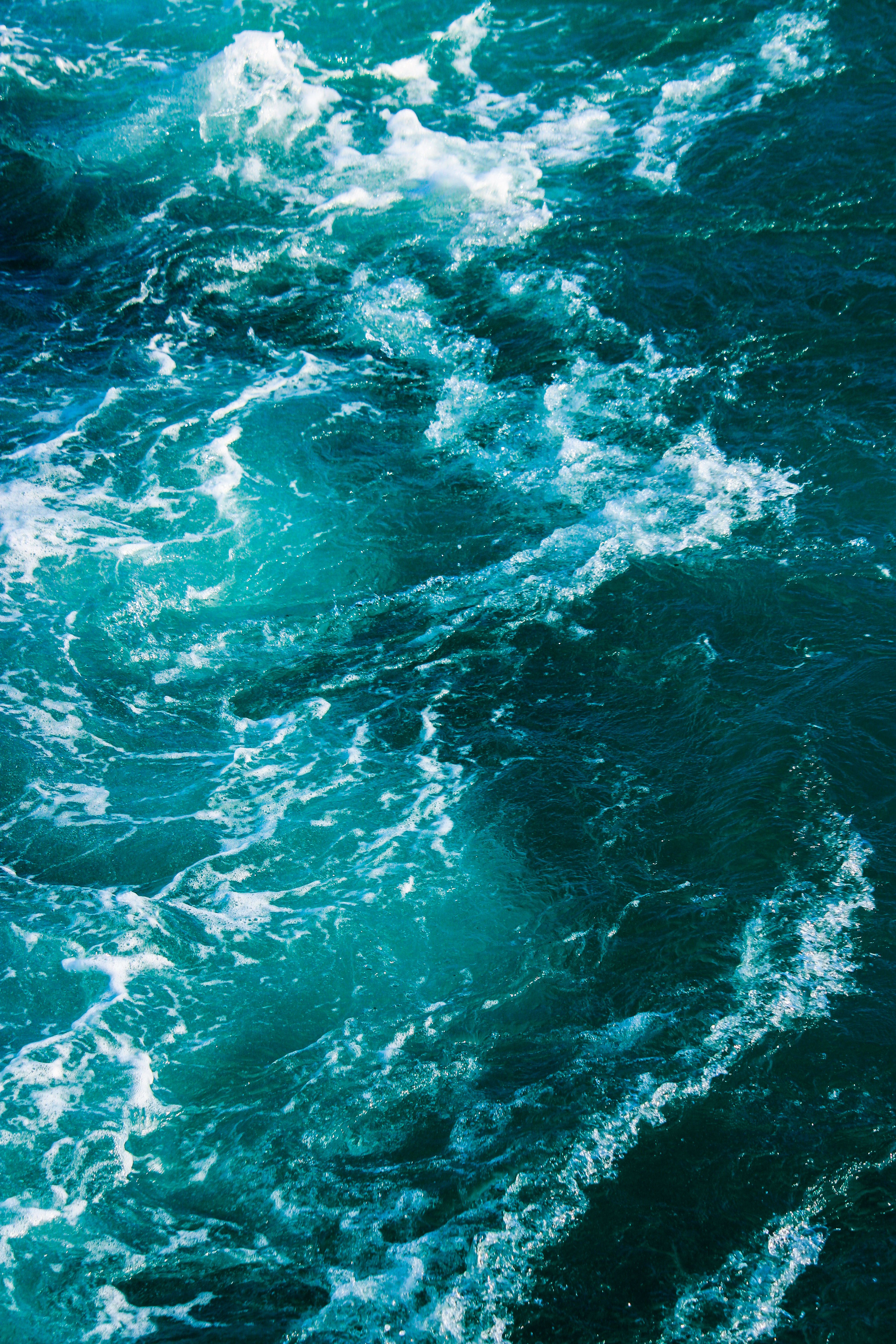 Disturbed Ocean Waves · Free Stock Photo