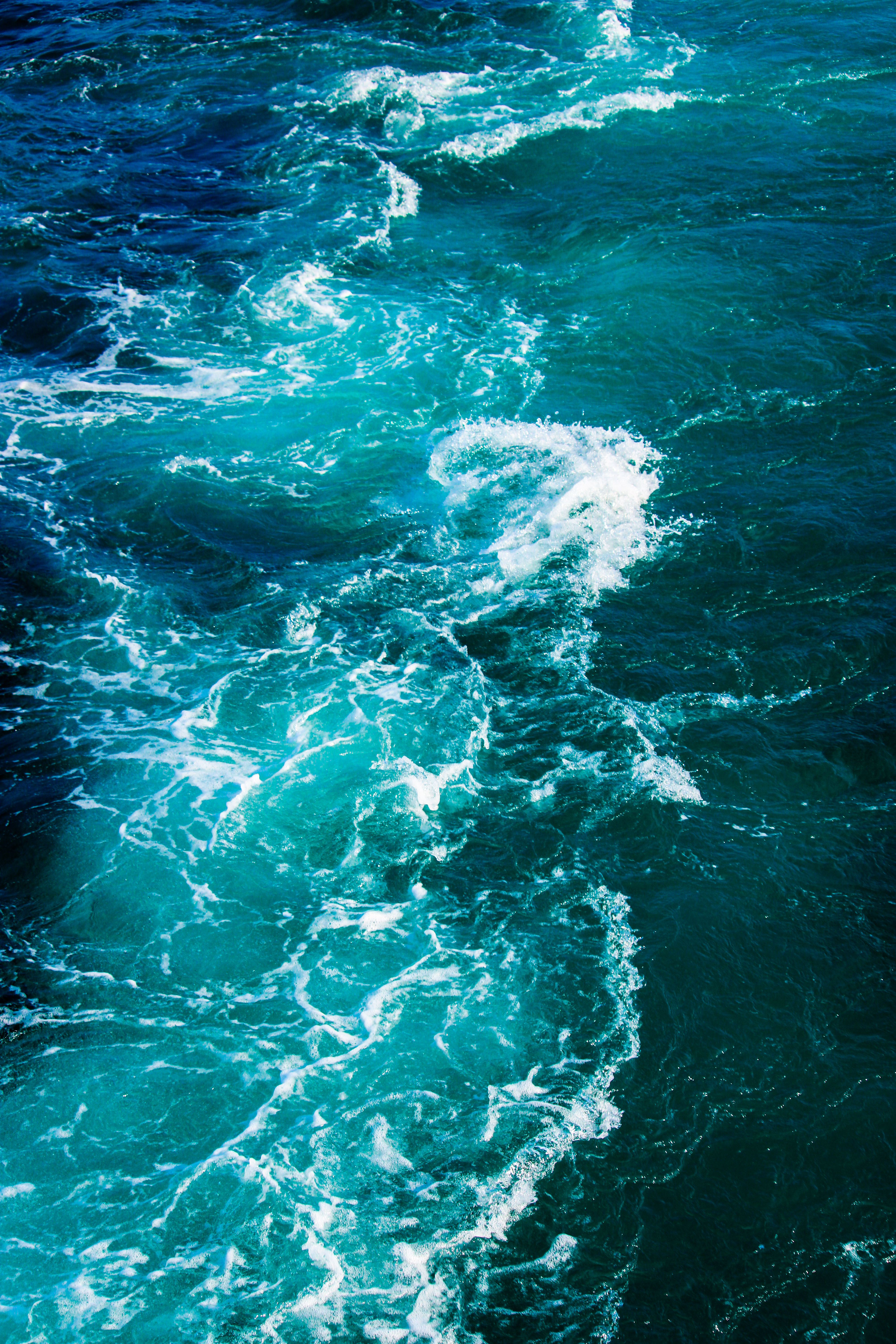 Surface of the Sea · Free Stock Photo