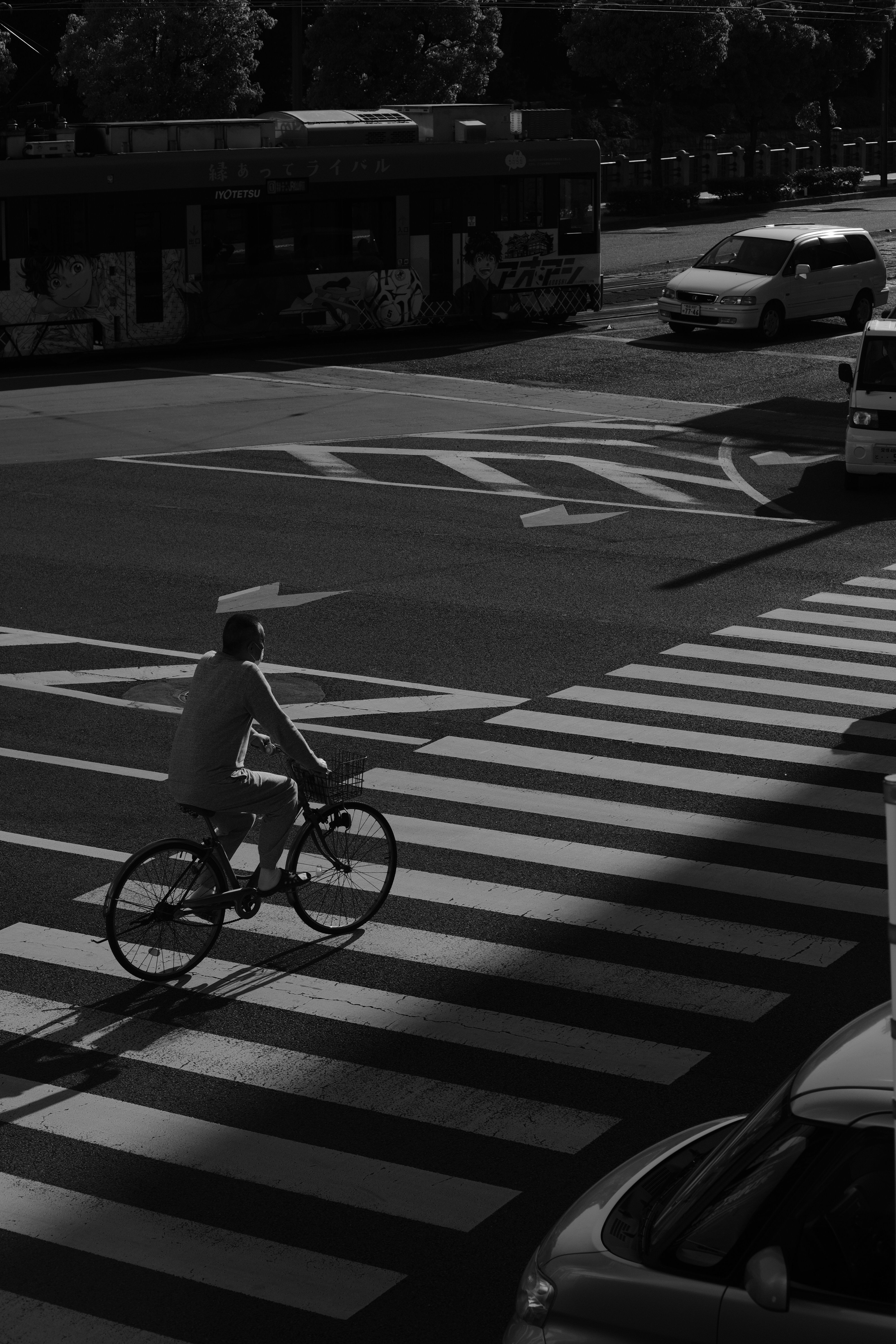 Man Riding a Bicycle across a Zebra Crossing · Free Stock Photo