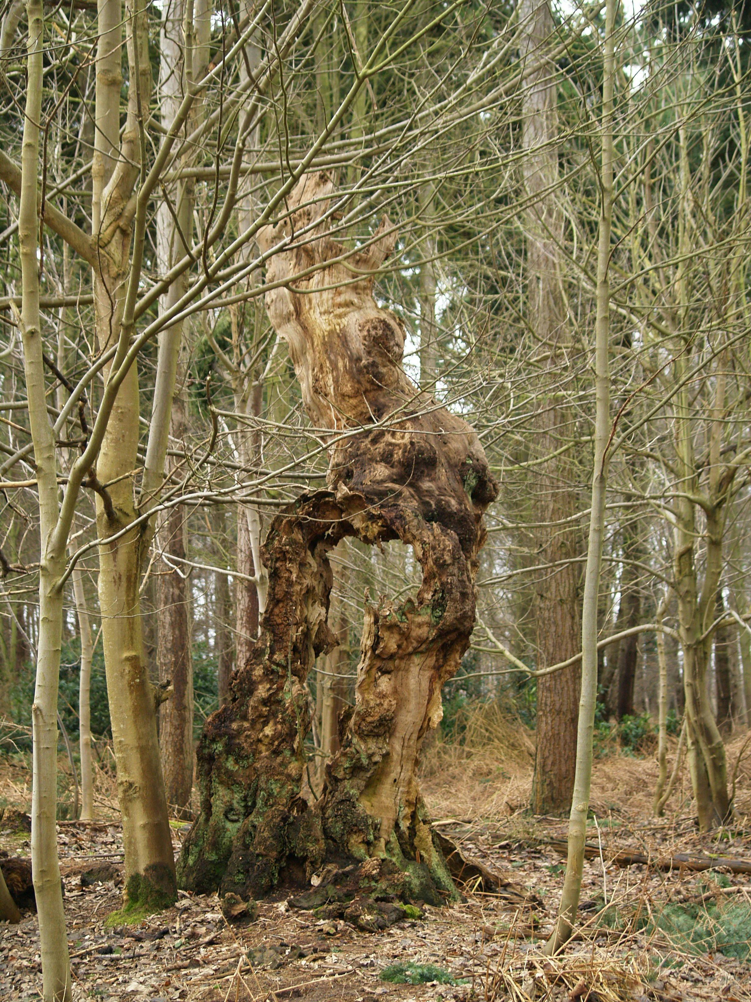 Chris Hancock - 사진