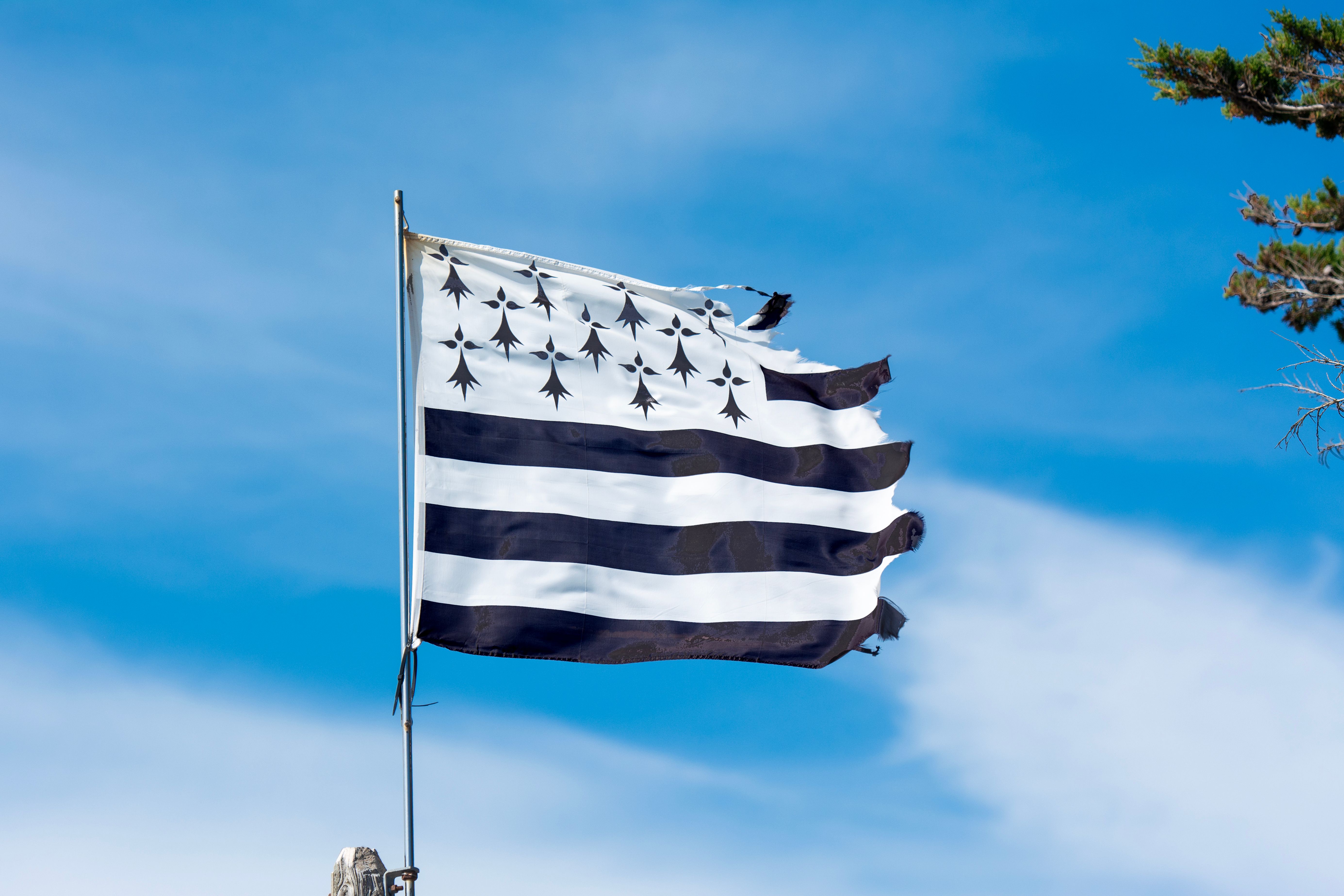 Flag of Brittany · Free Stock Photo
