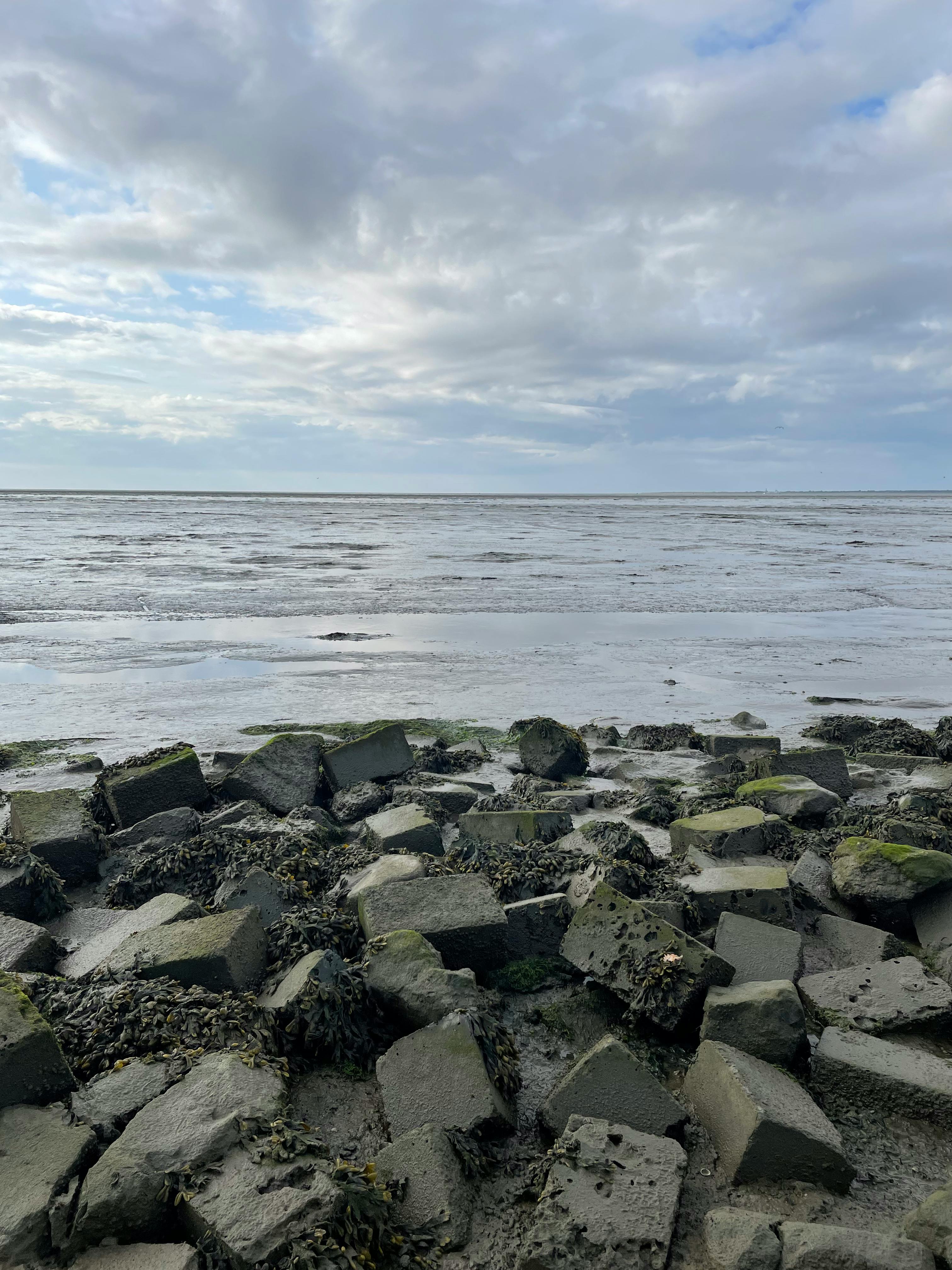 Rostfritt Bricks Photos, Download The BEST Free Rostfritt Bricks Stock ...