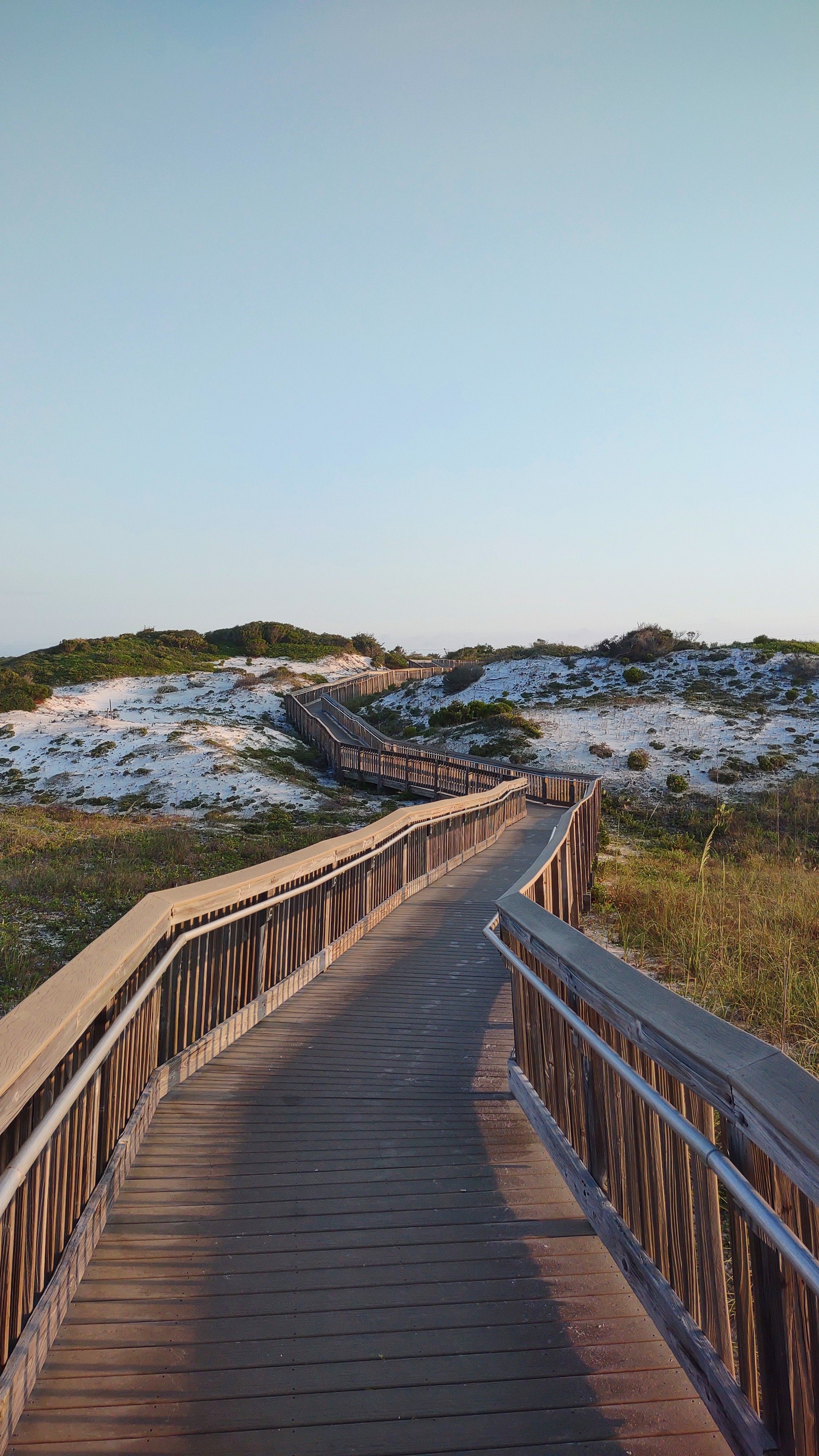 Wooden Boardwalk in Countryside · Free Stock Photo