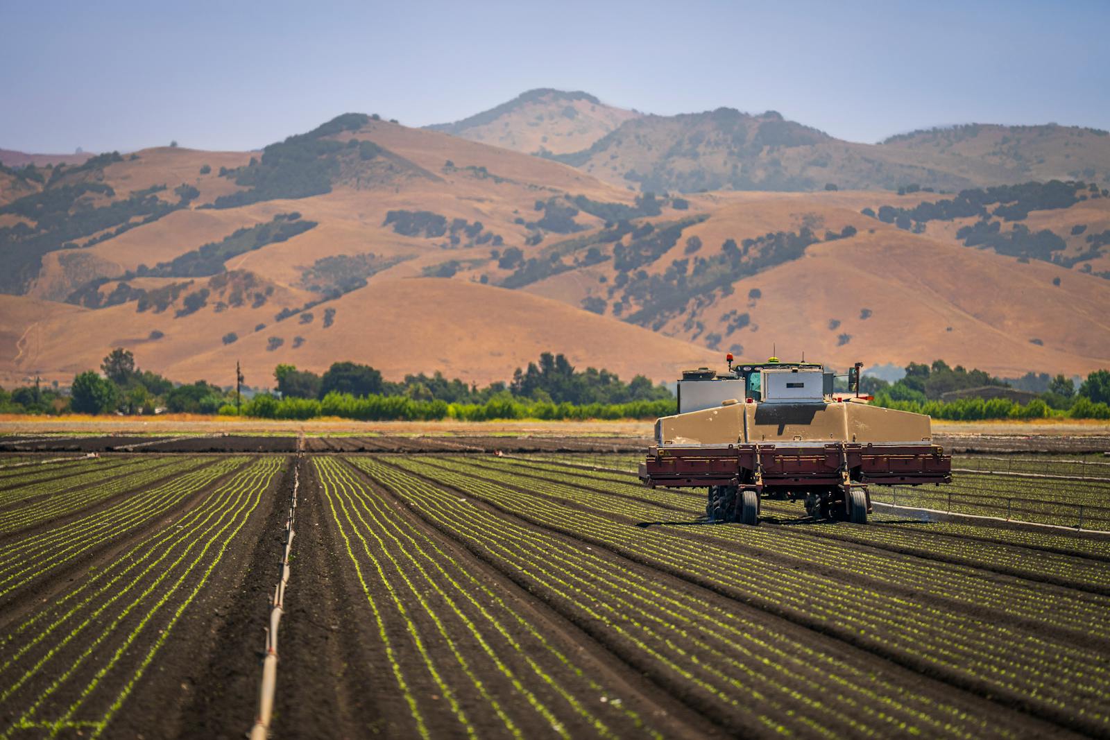 Weeding Photos, Download The BEST Free Weeding Stock Photos & HD Images