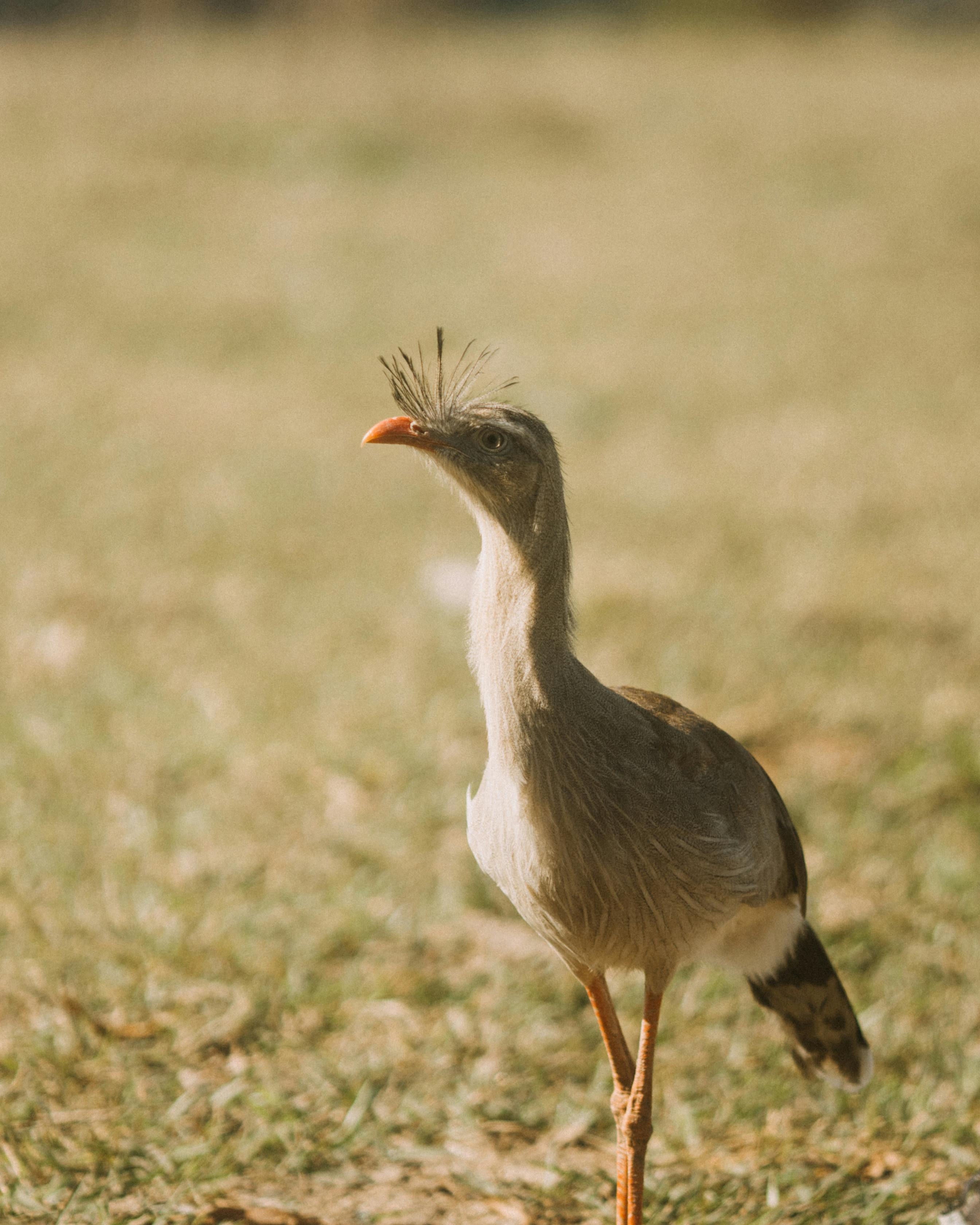 Daniel Pratt - 写真