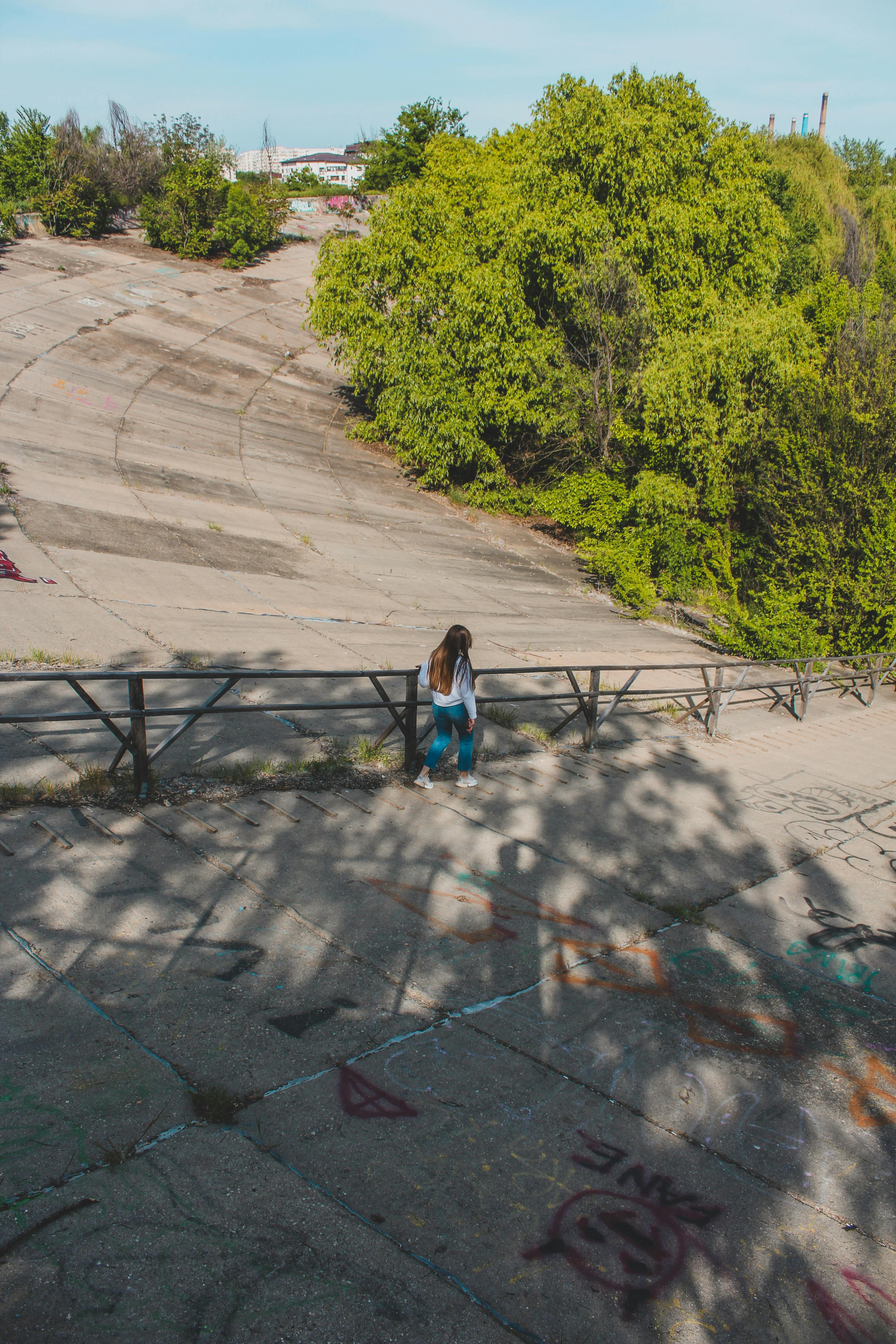 Tree Jump Shindo Life Photos, Download The BEST Free Tree Jump Shindo ...