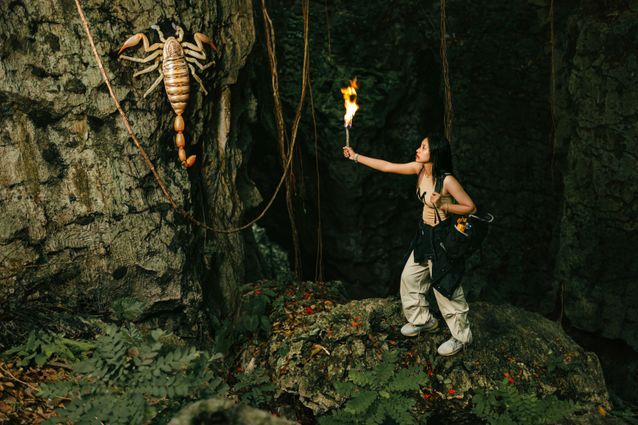 Natural Predator of Scorpions: Animals That Prey on Them