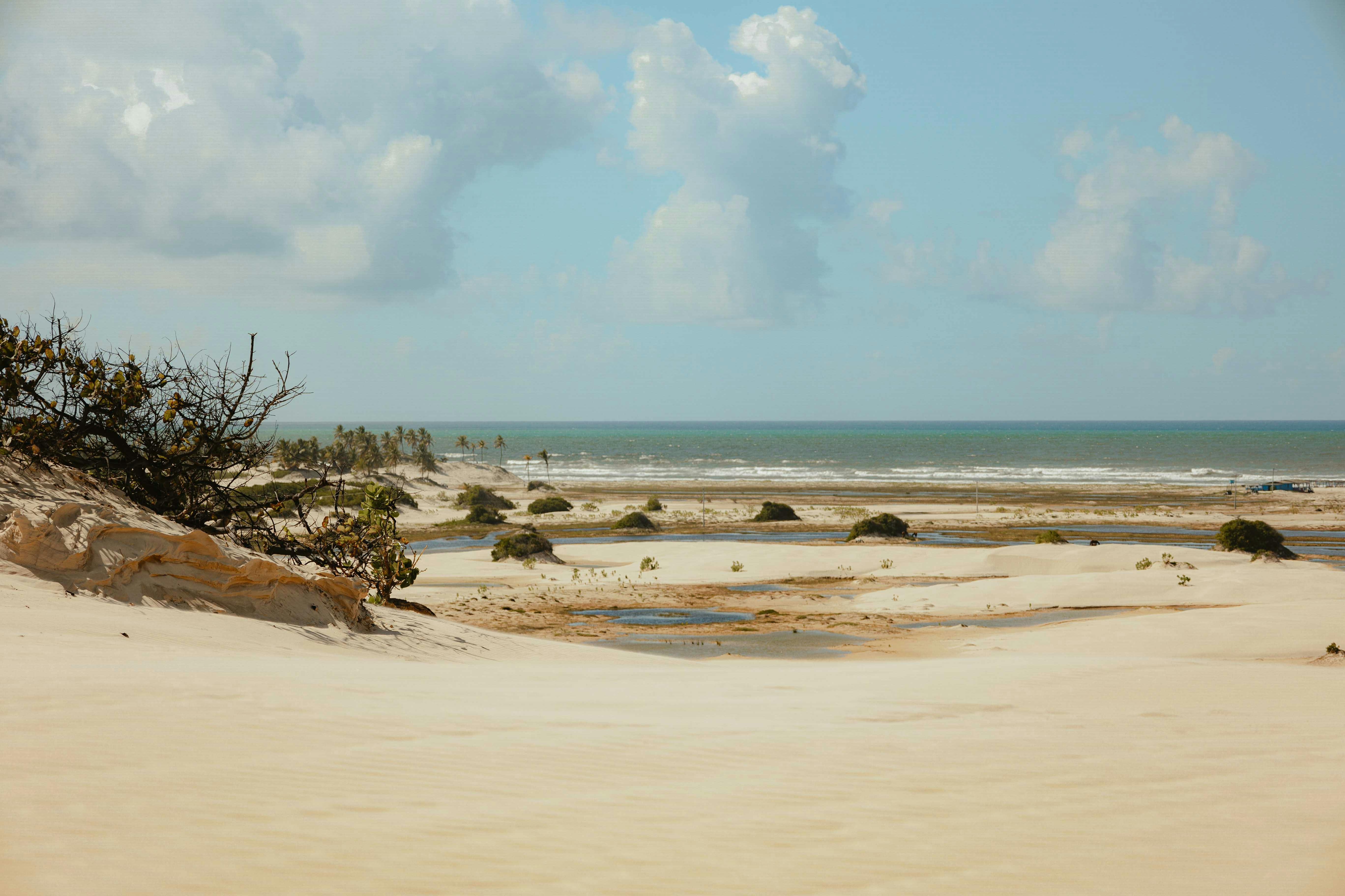 Sandy Beach with Puddles · Free Stock Photo
