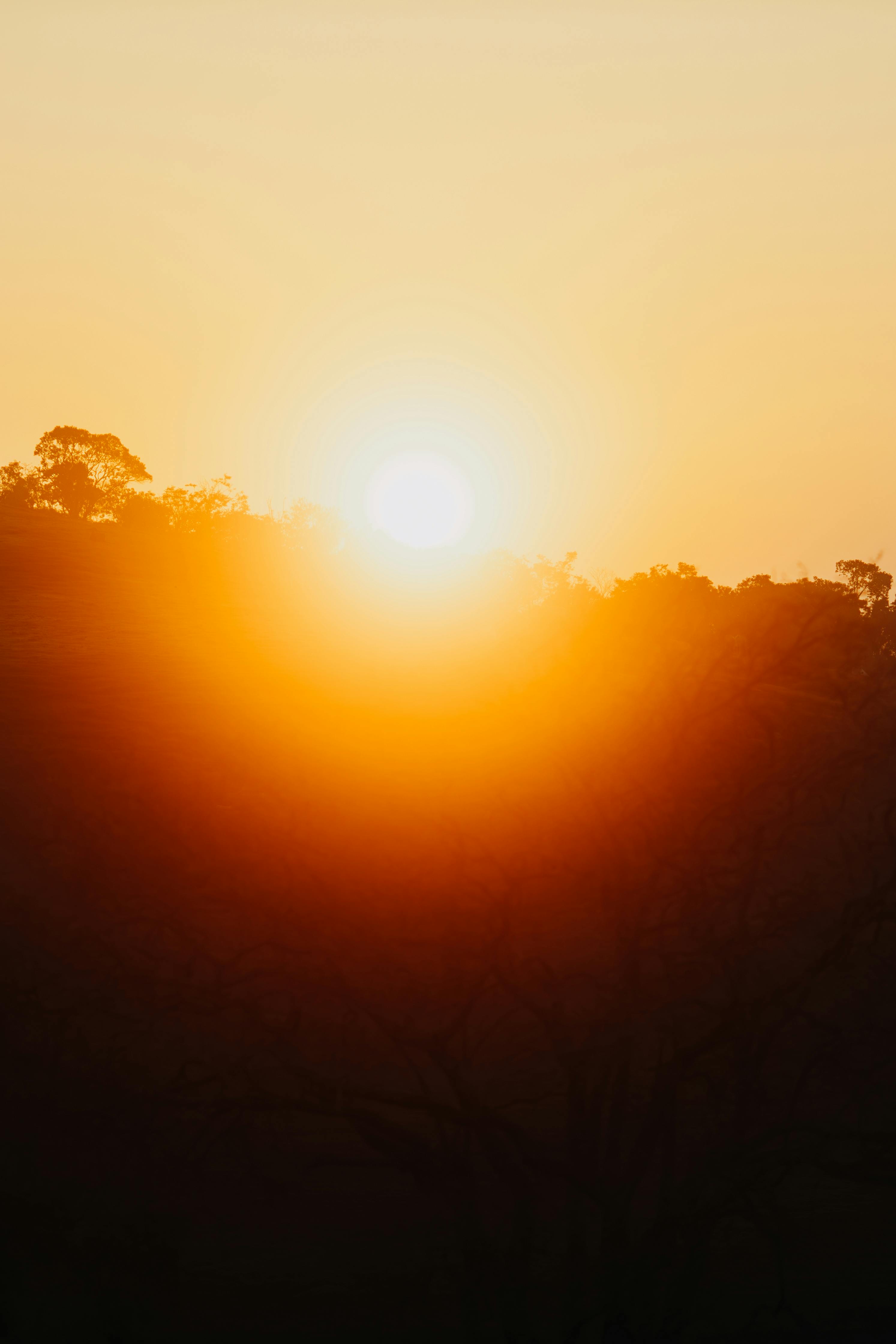 Woman Taking a Photo in Forest · Free Stock Photo