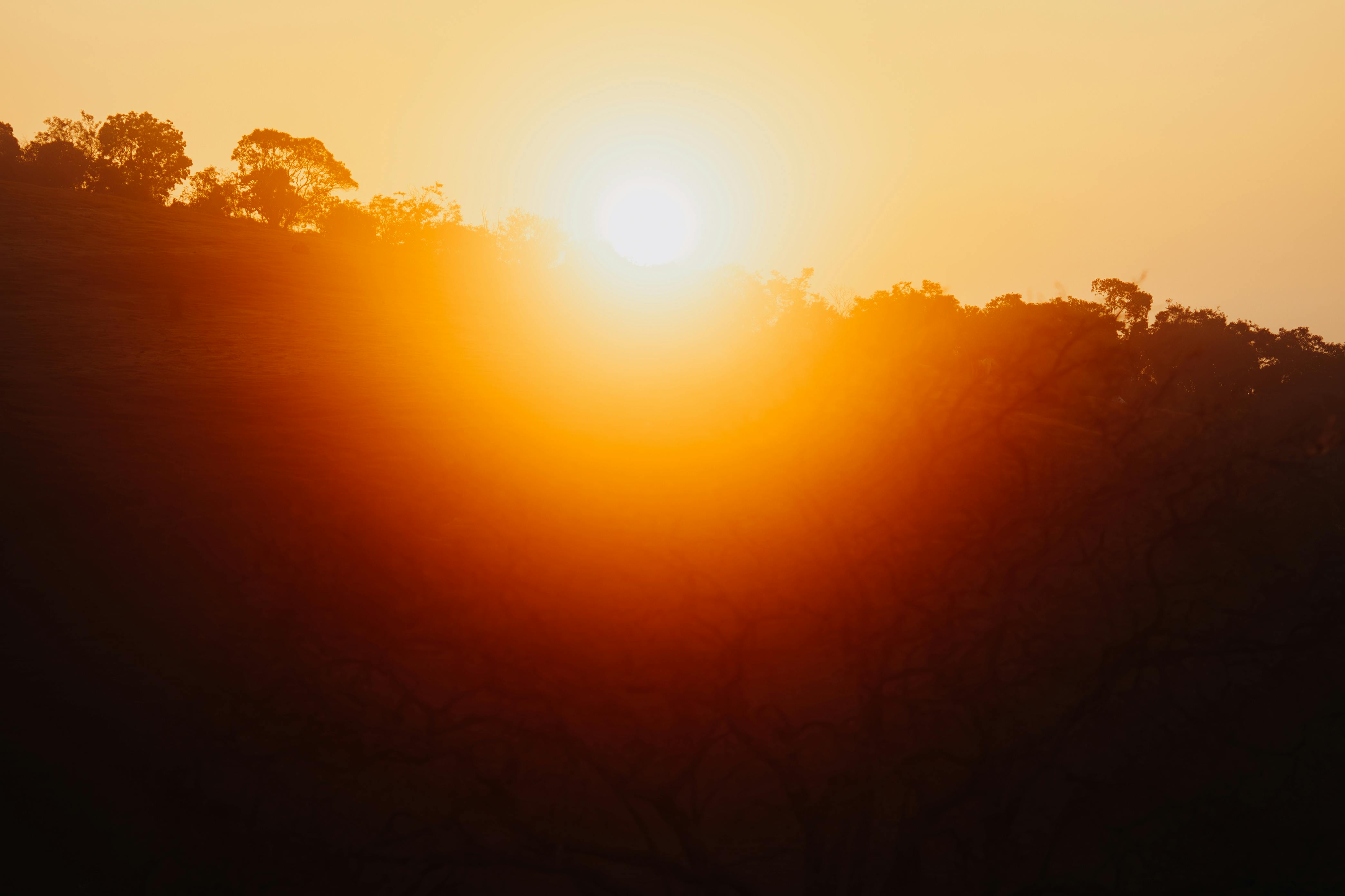 Sun Flour Photos, Download The BEST Free Sun Flour Stock Photos & HD Images