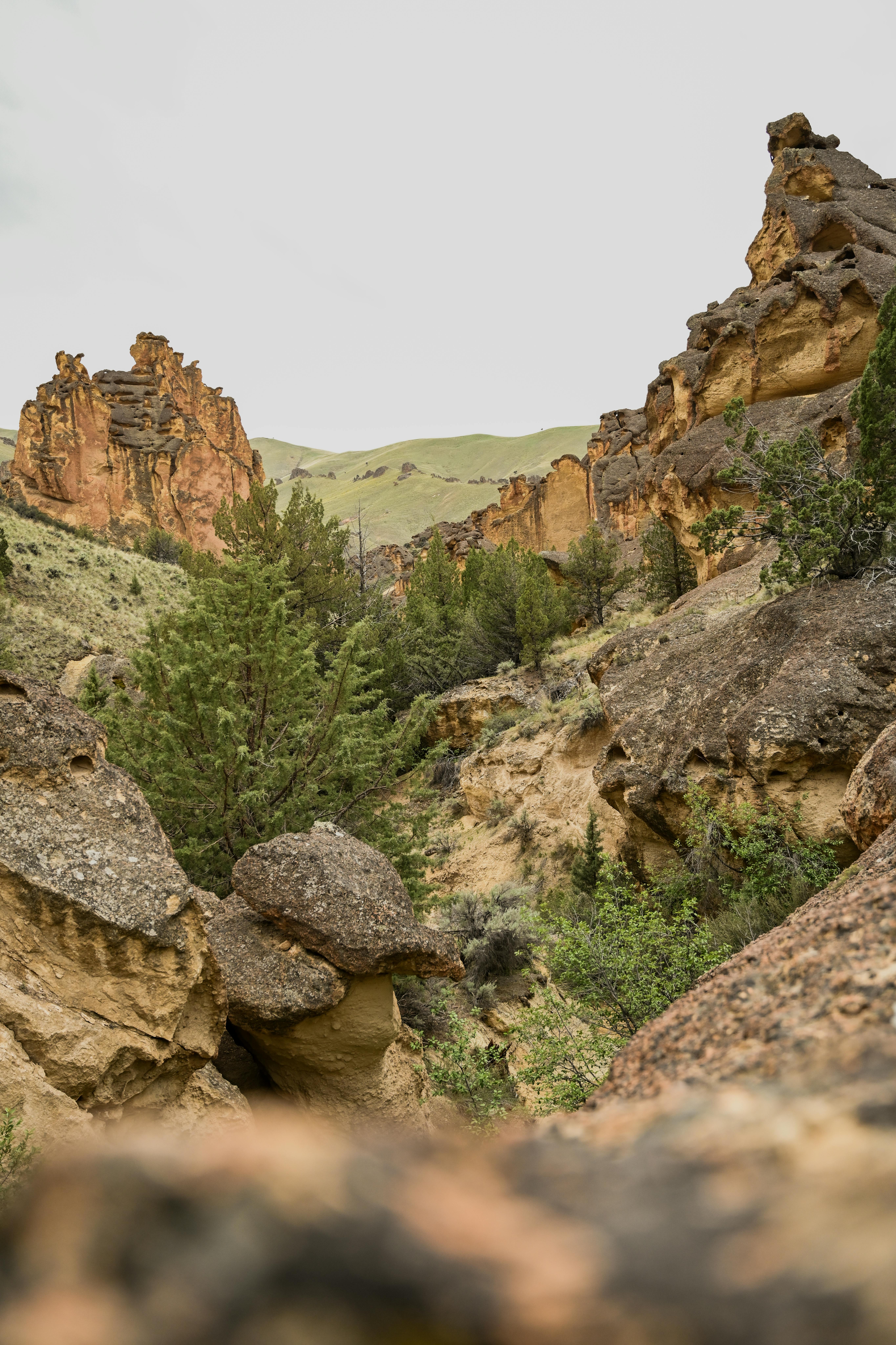 Panorama of a Rough Mountain Terrain and Rock Formations, Leslie Gulch ...