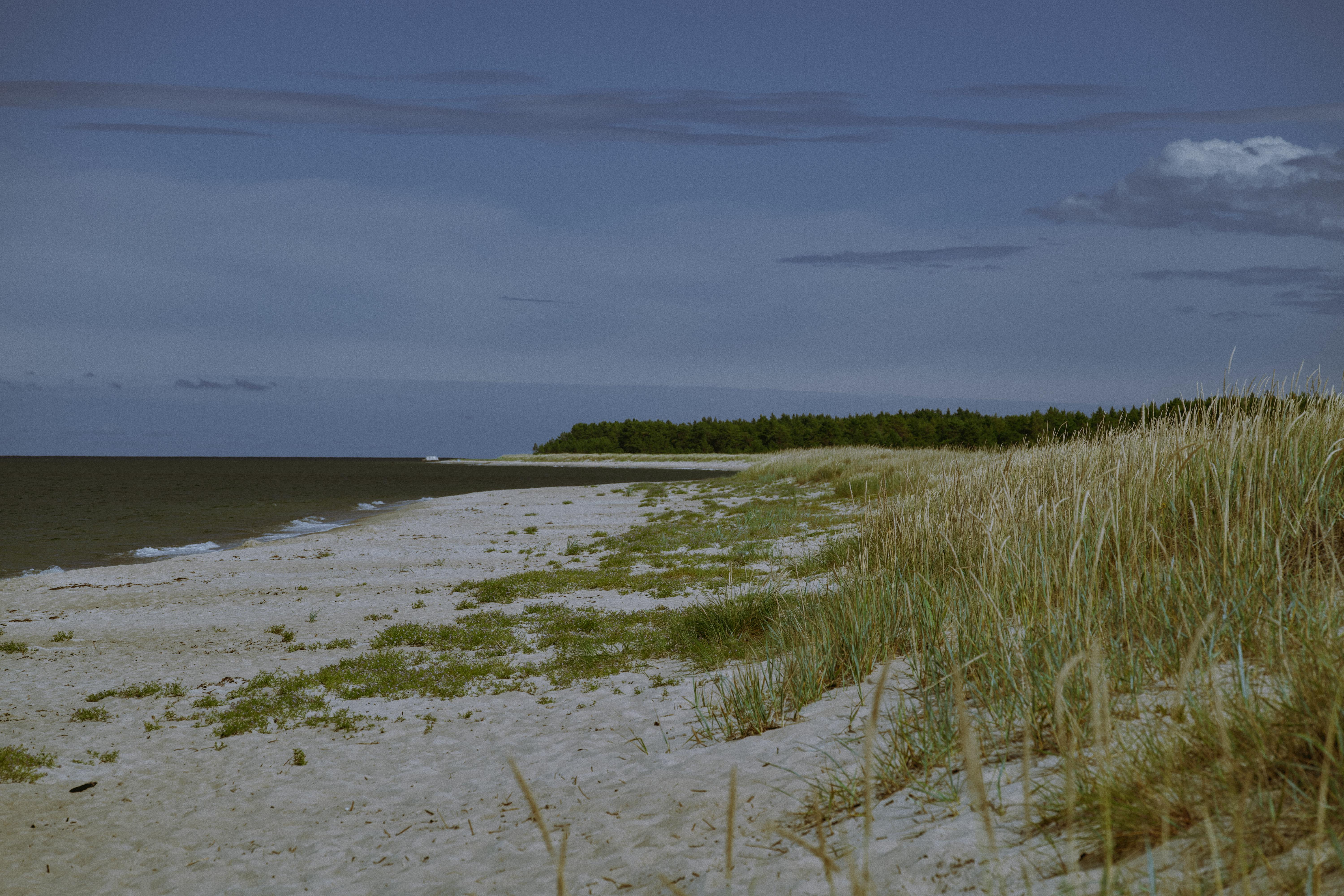 Tumbling Weeds Photos, Download The BEST Free Tumbling Weeds Stock ...