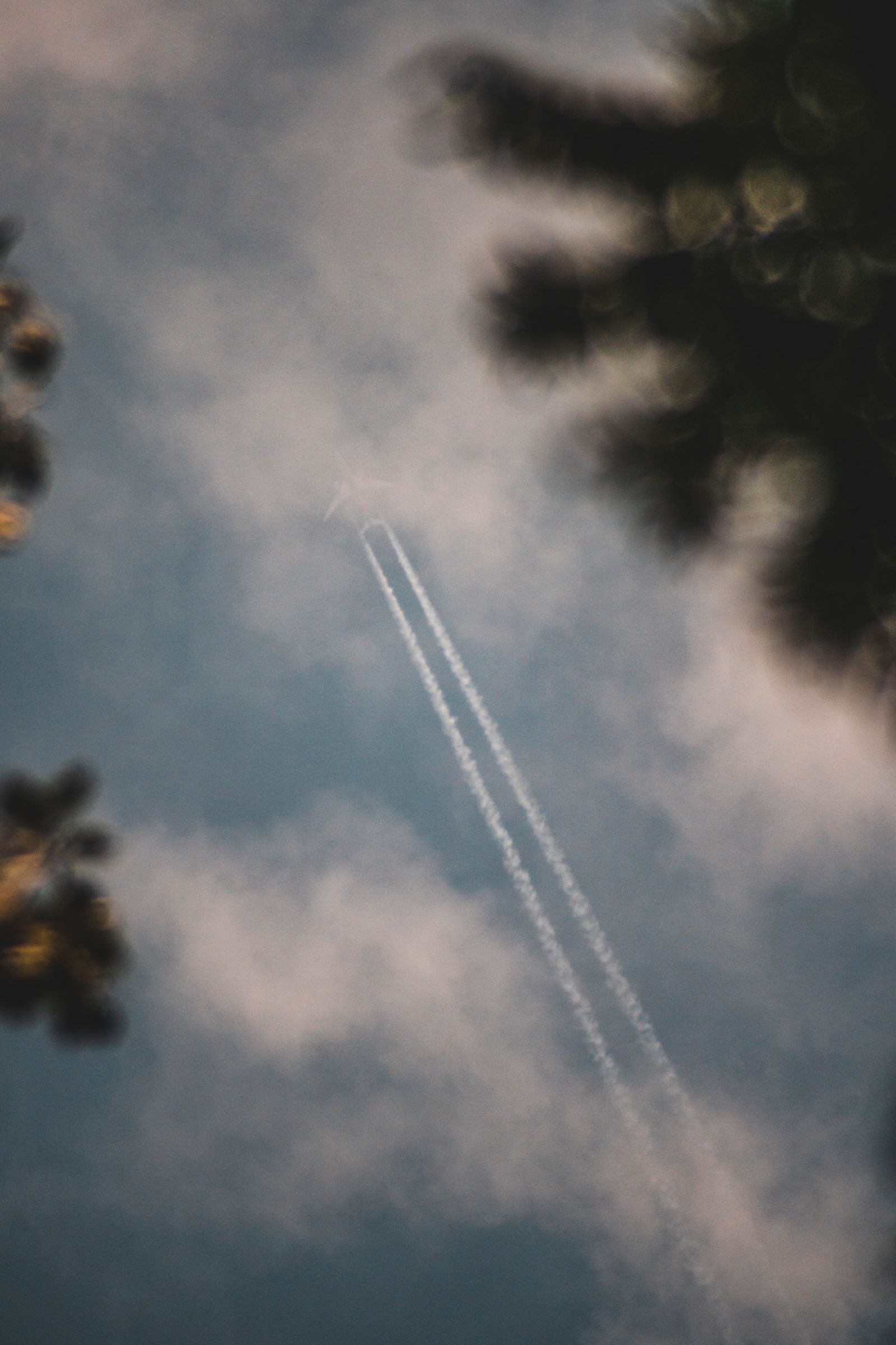 Plane Trails Photos, Download The BEST Free Plane Trails Stock Photos ...
