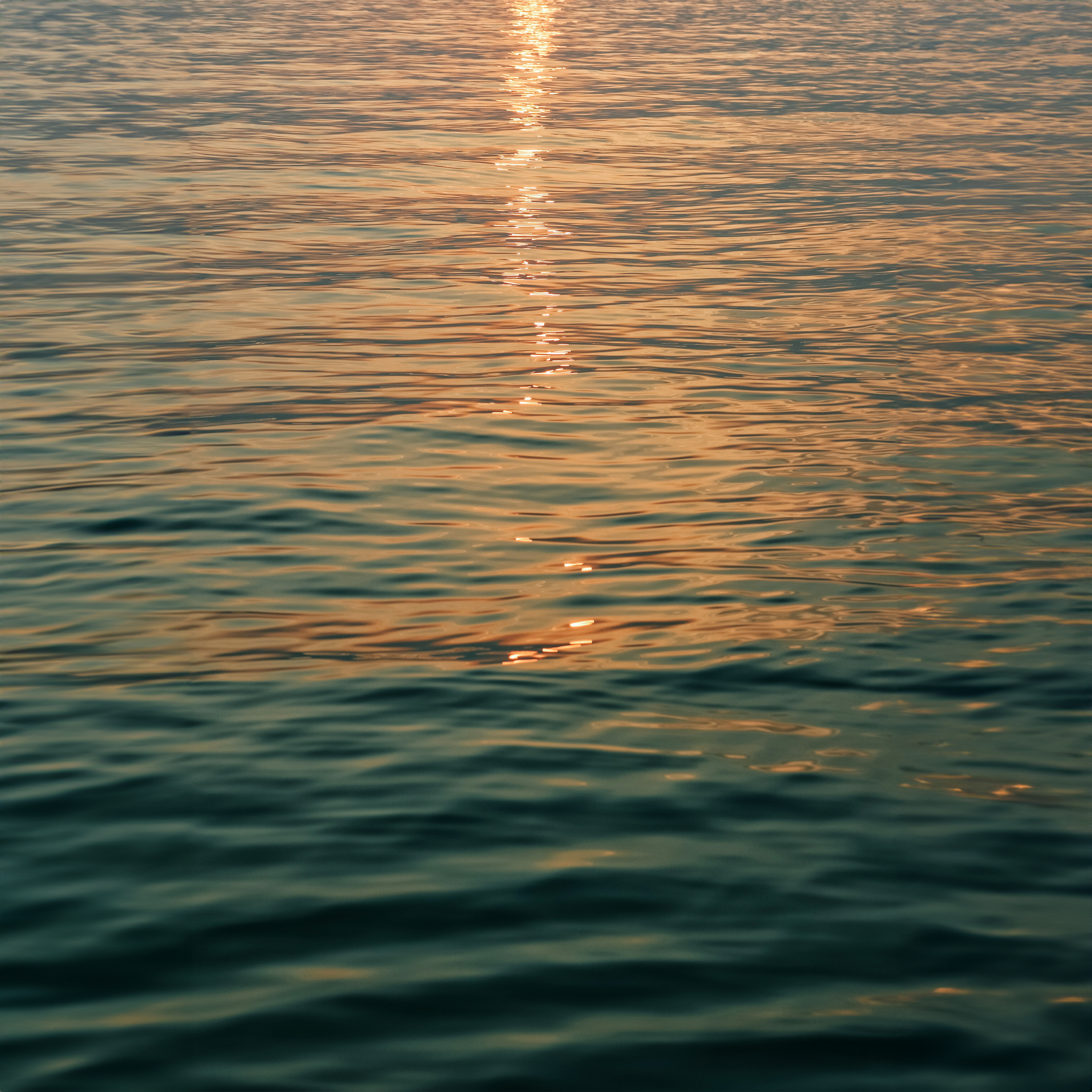 Sunlight Reflected on Water · Free Stock Photo