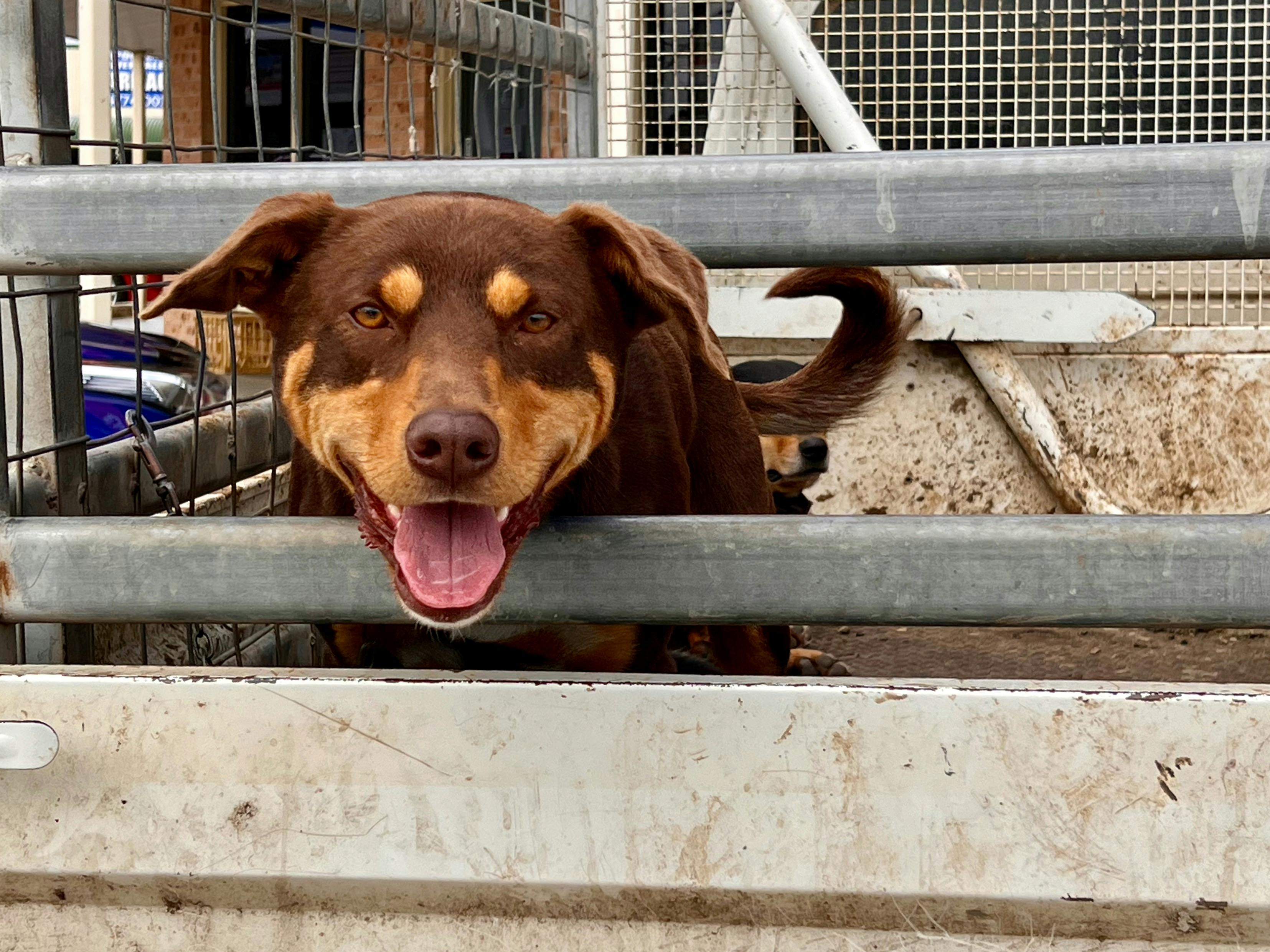 Allen Cullen - 사진