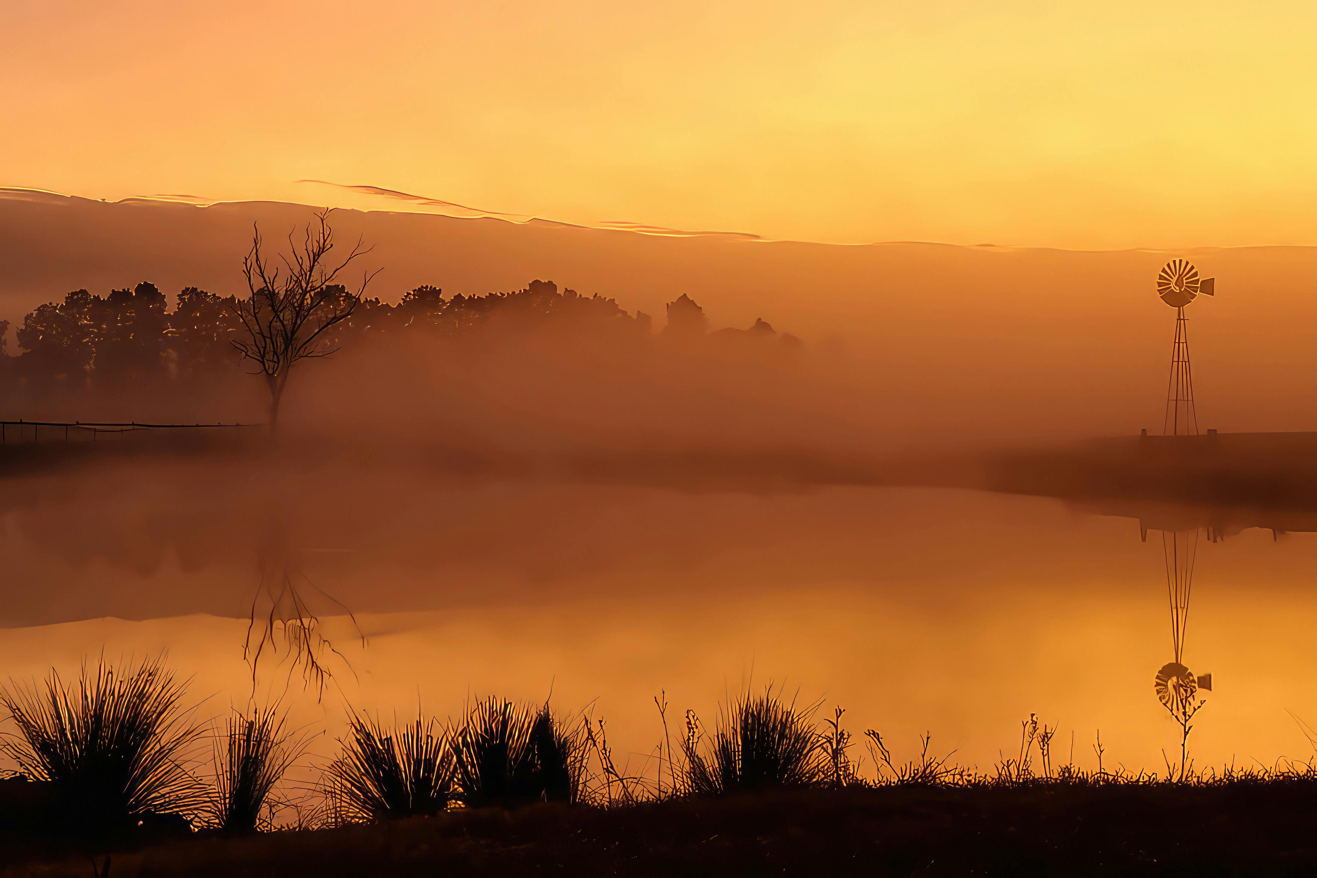 Allen Cullen - 사진