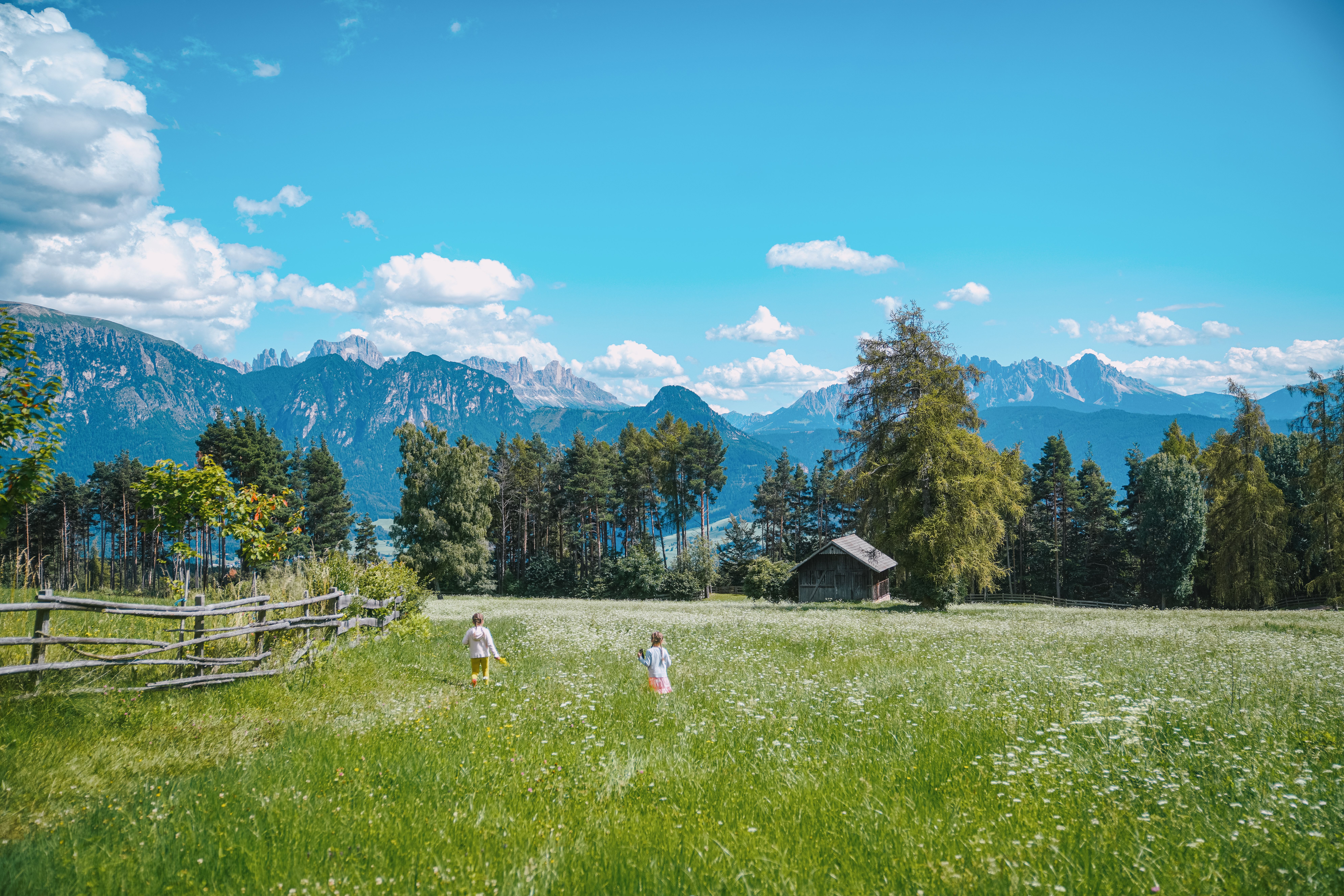 Scenic View of a Meadow, Trees and Mountains in Summer with Children ...