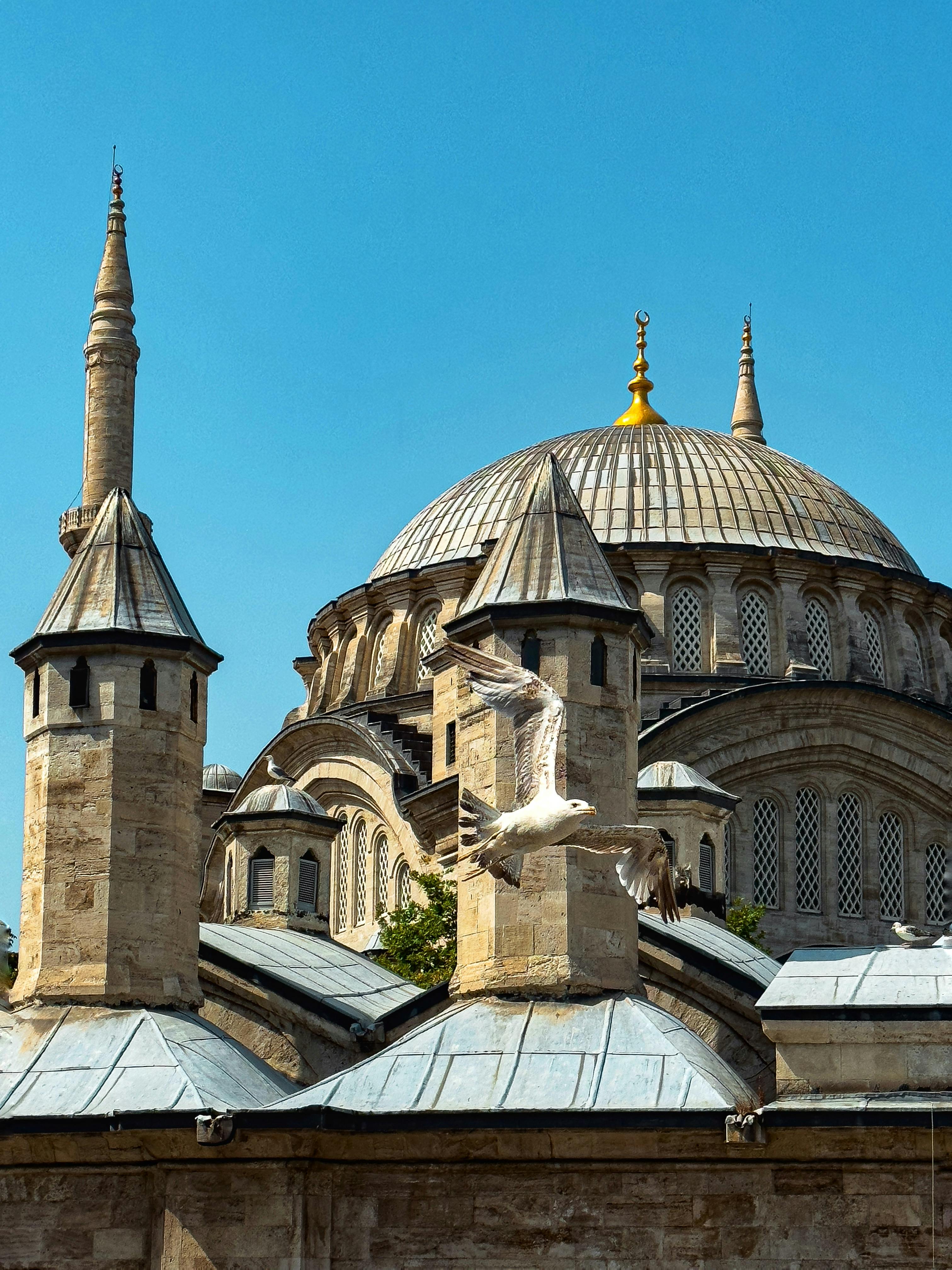 Zeynep DEMİR - Photography