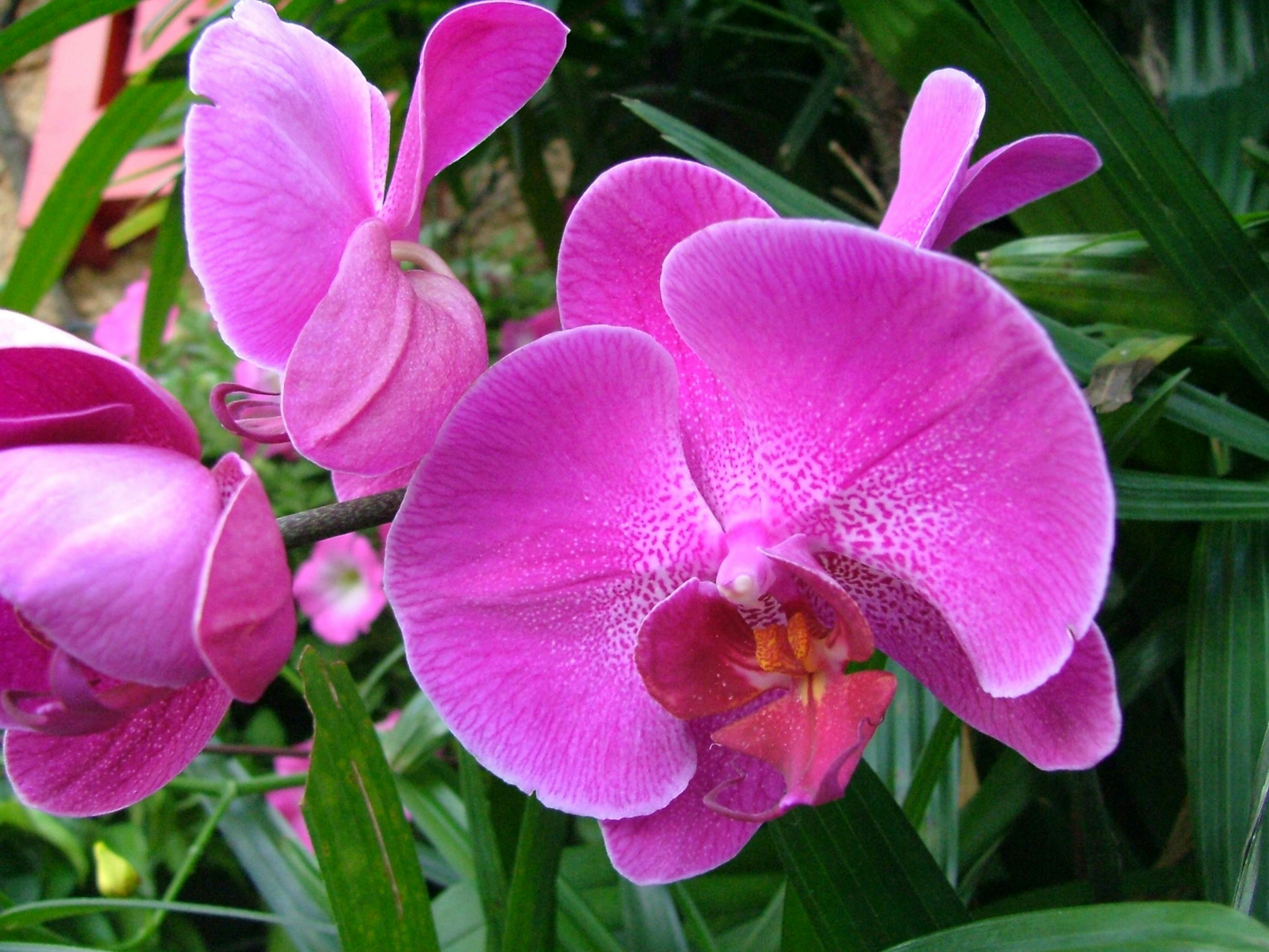 Amy Law - Photographie