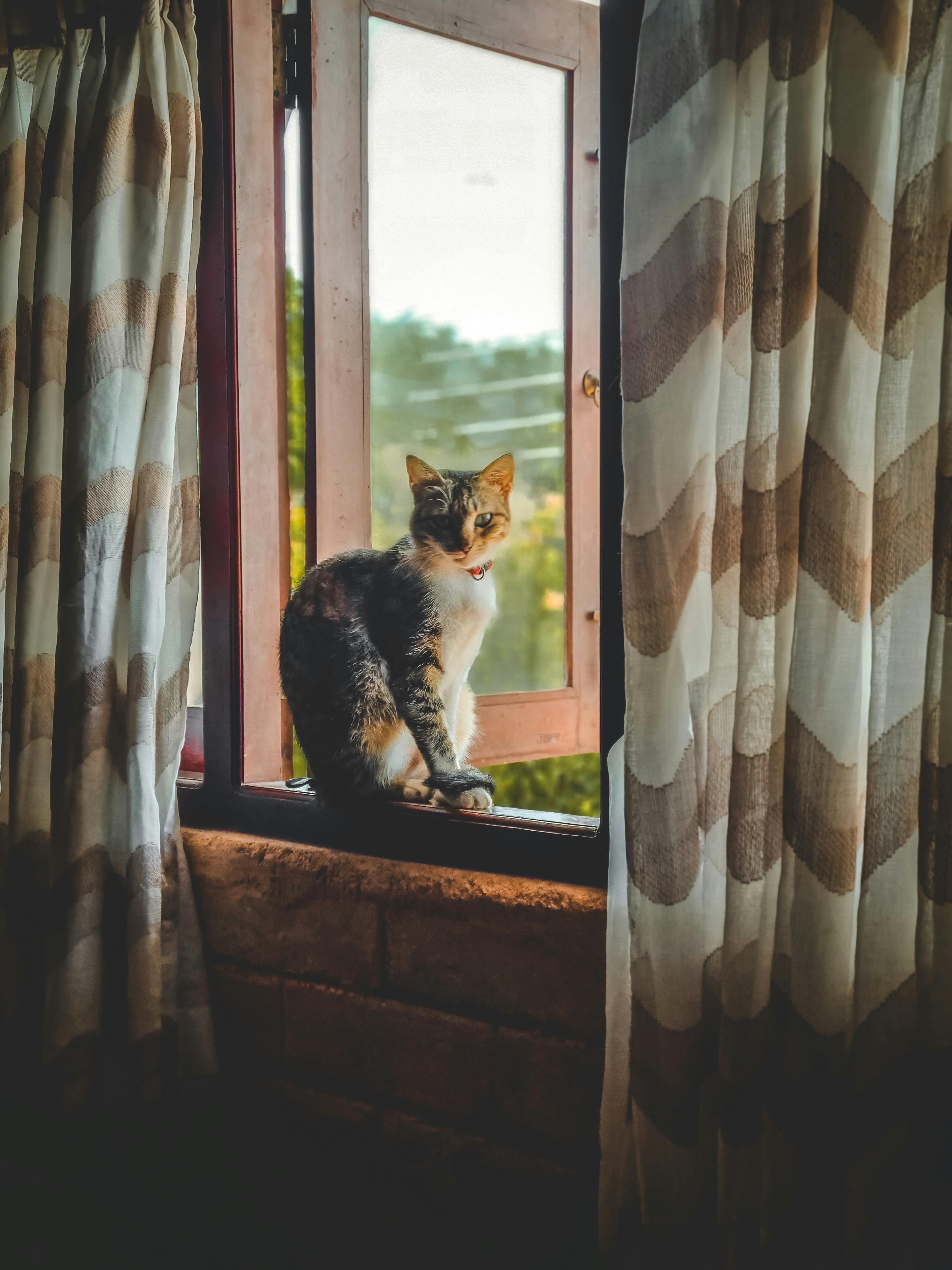 Windows Xp Háttér Photos, Download The BEST Free Windows Xp Háttér ...