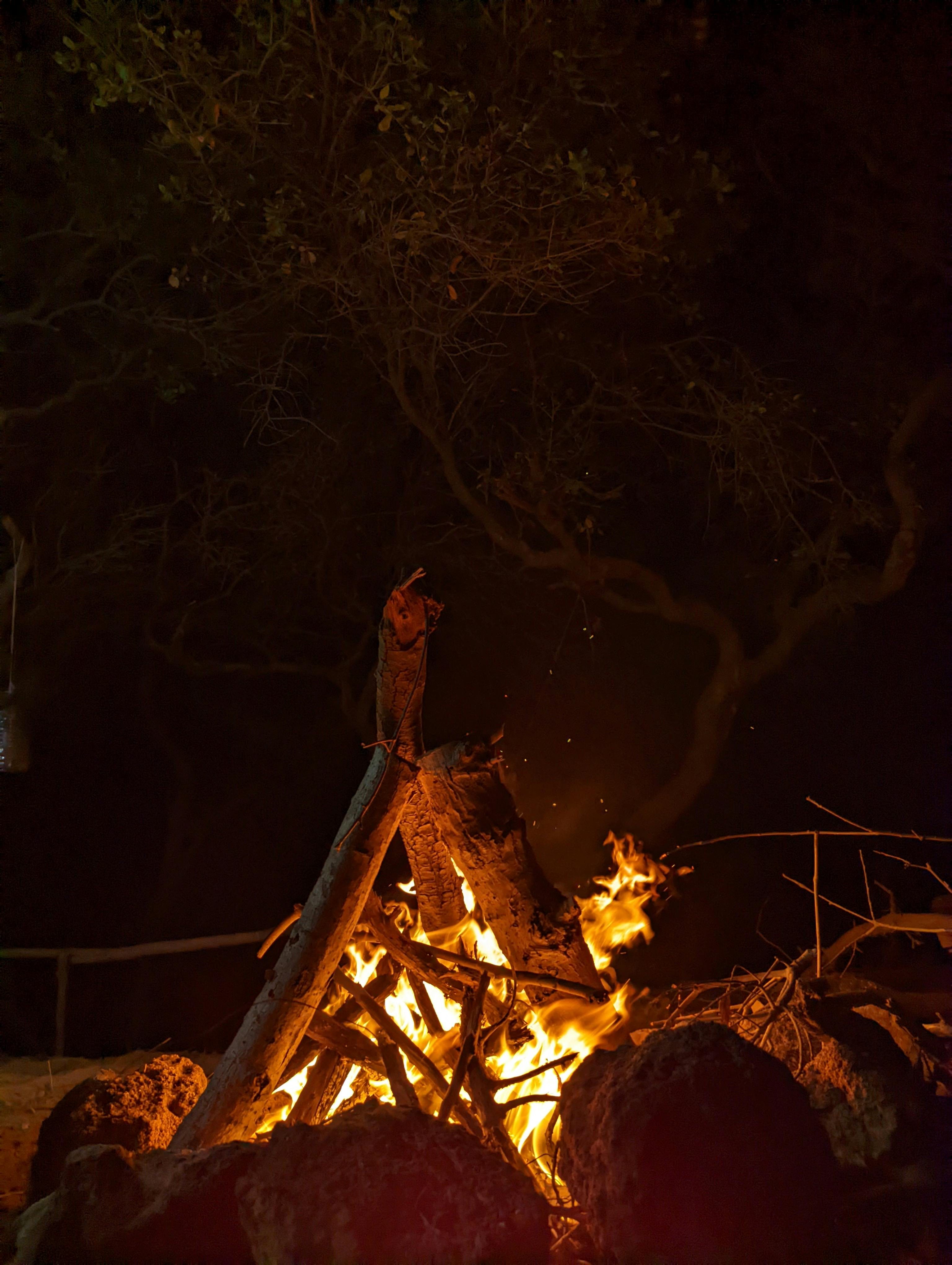 Bonfire Unlit Photos, Download The BEST Free Bonfire Unlit Stock Photos ...