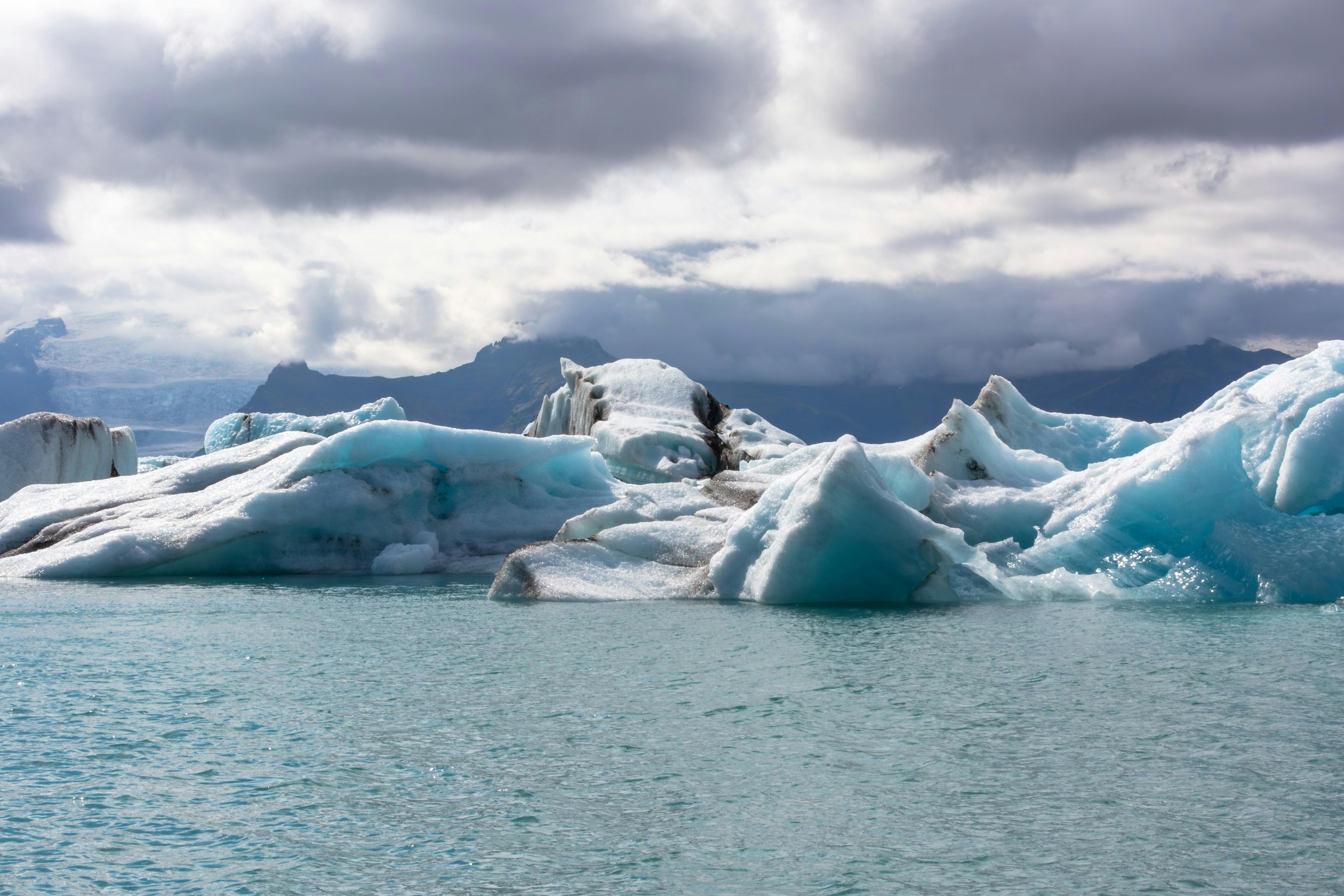 Frozen Eyebrows Photos, Download The BEST Free Frozen Eyebrows Stock ...