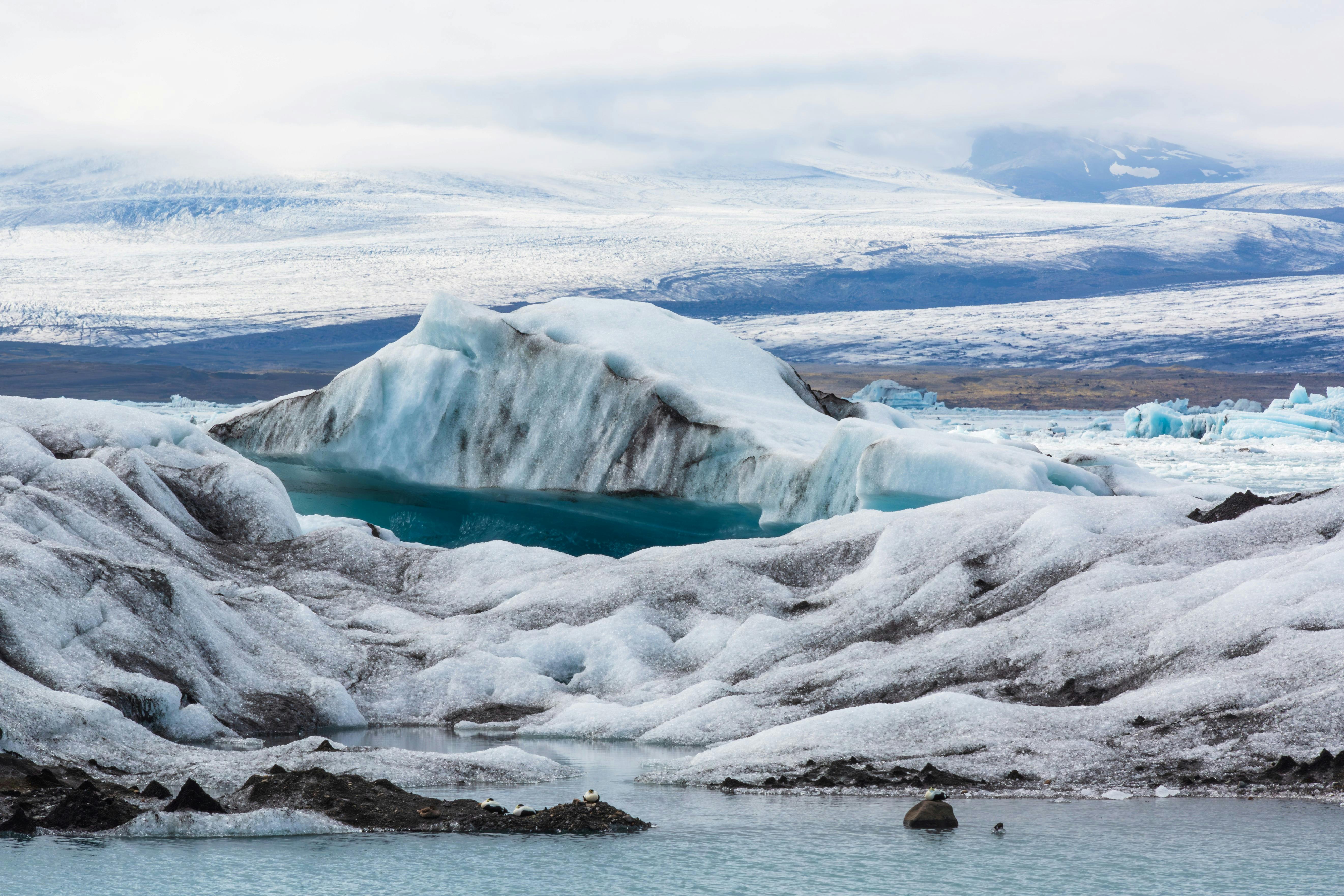 Winter Scenery Photos, Download The BEST Free Winter Scenery Stock ...